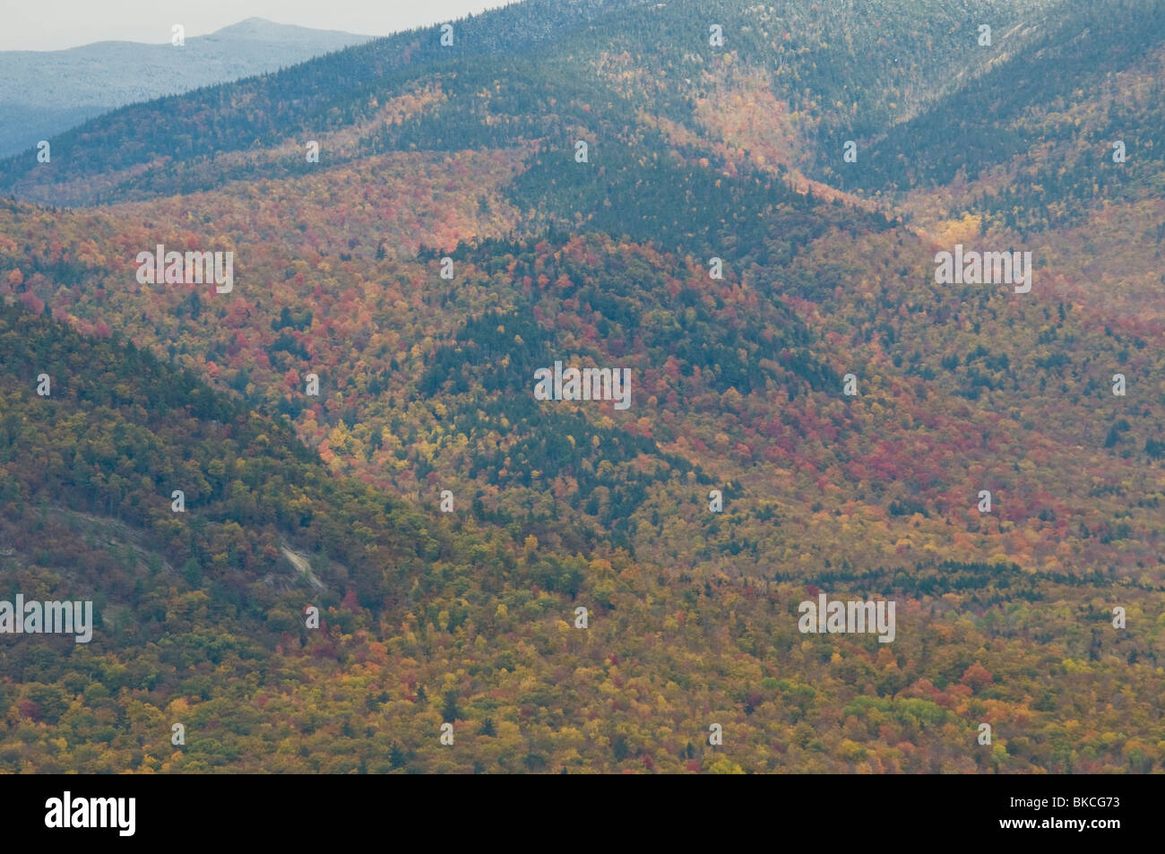 Fall Foliage, Autumn Fall,Colors,Colour,Colours,Bear Notch Road ...