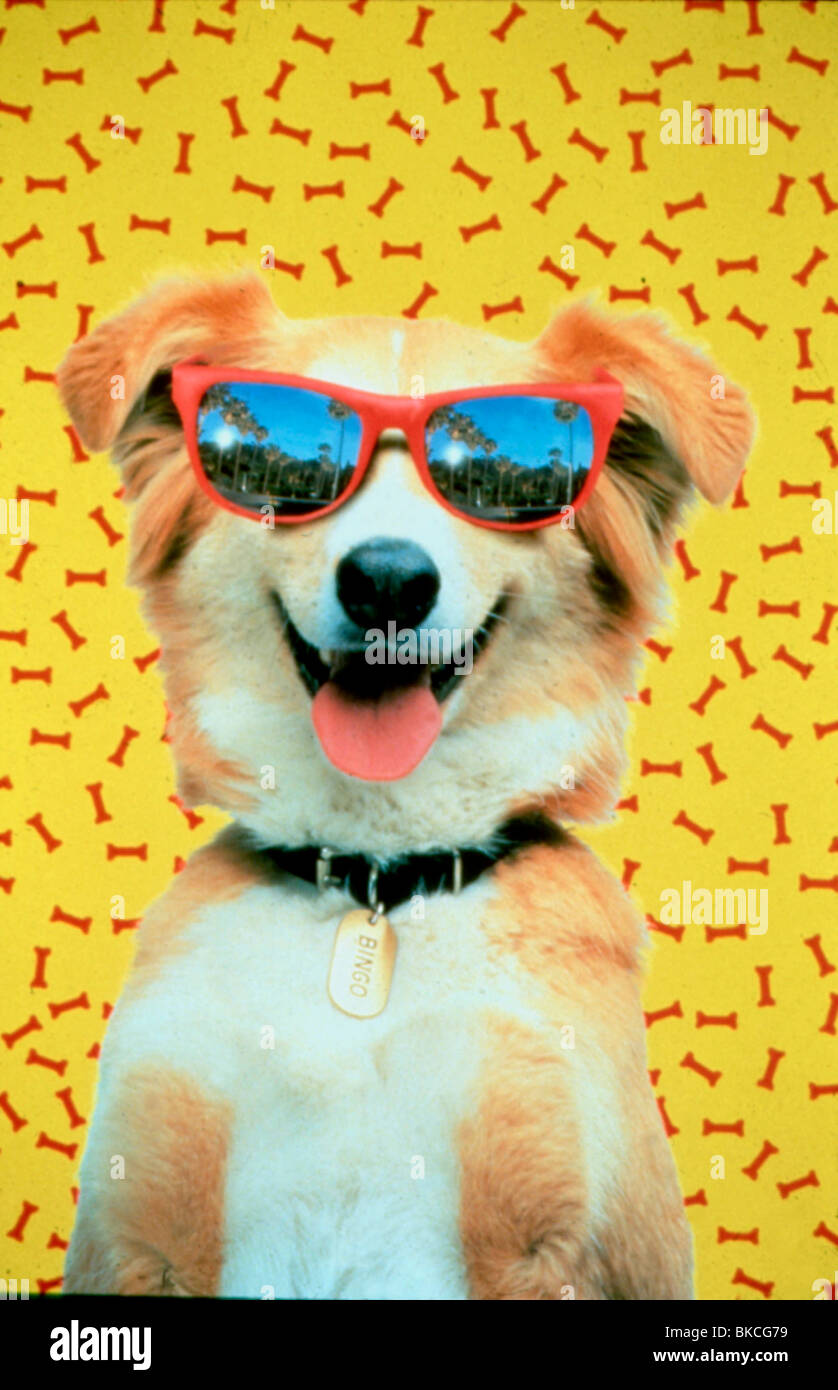 Bingo and cinema hi-res stock photography and images - Alamy