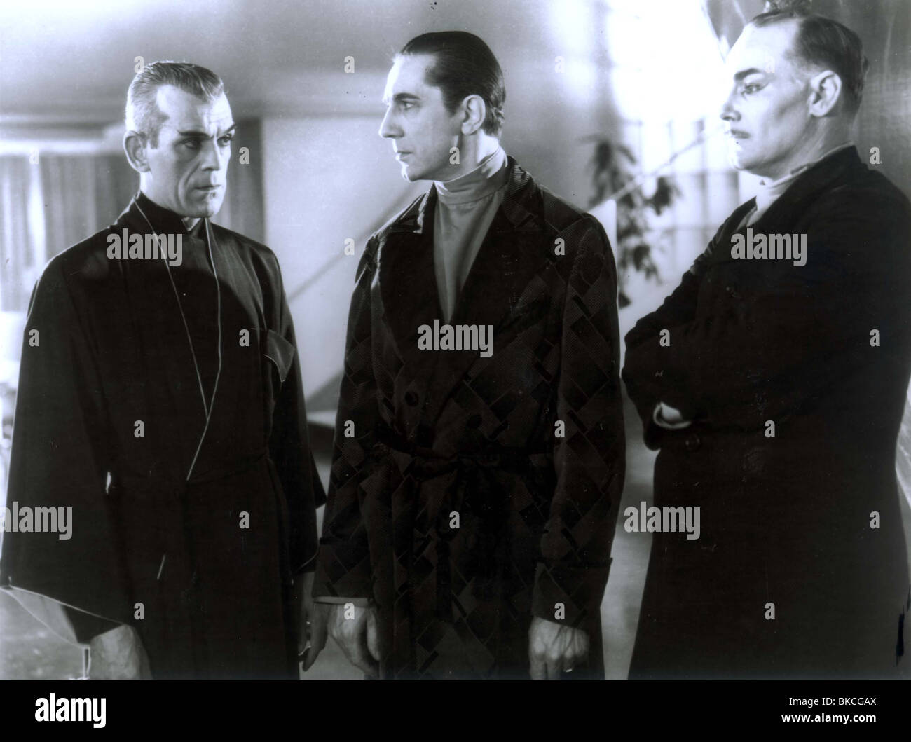 Black cat 1934 house of doom alt bela lugosi hi-res stock photography ...