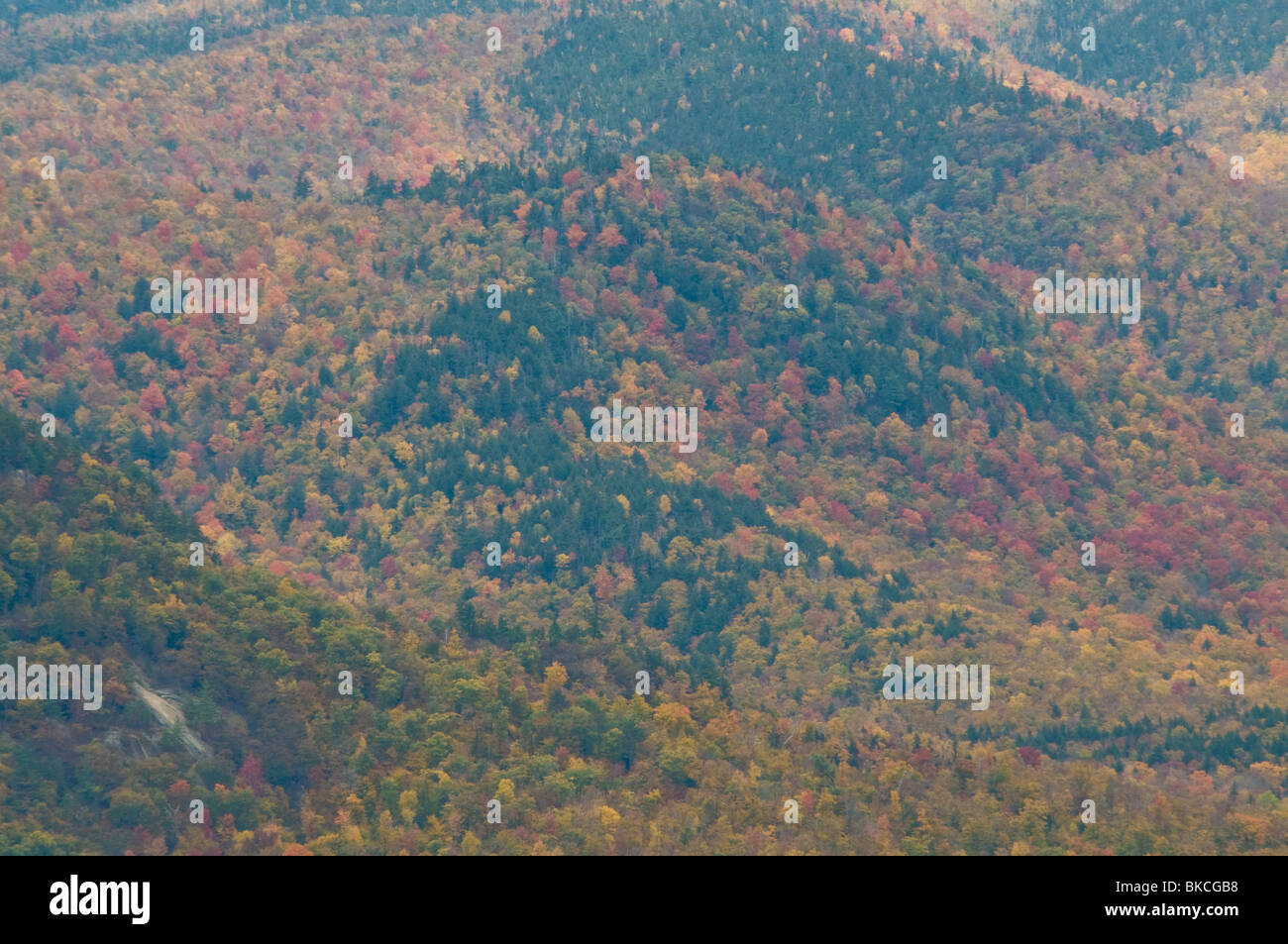 Fall Foliage, Autumn Fall,Colors,Colour,Colours,Bear Notch Road ...