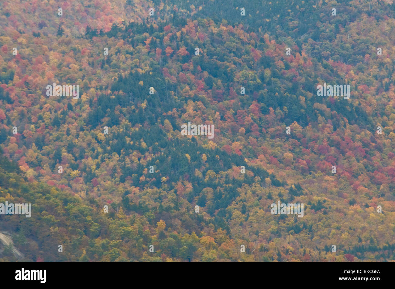 Fall Foliage, Autumn Fall,Colors,Colour,Colours,Bear Notch Road ...