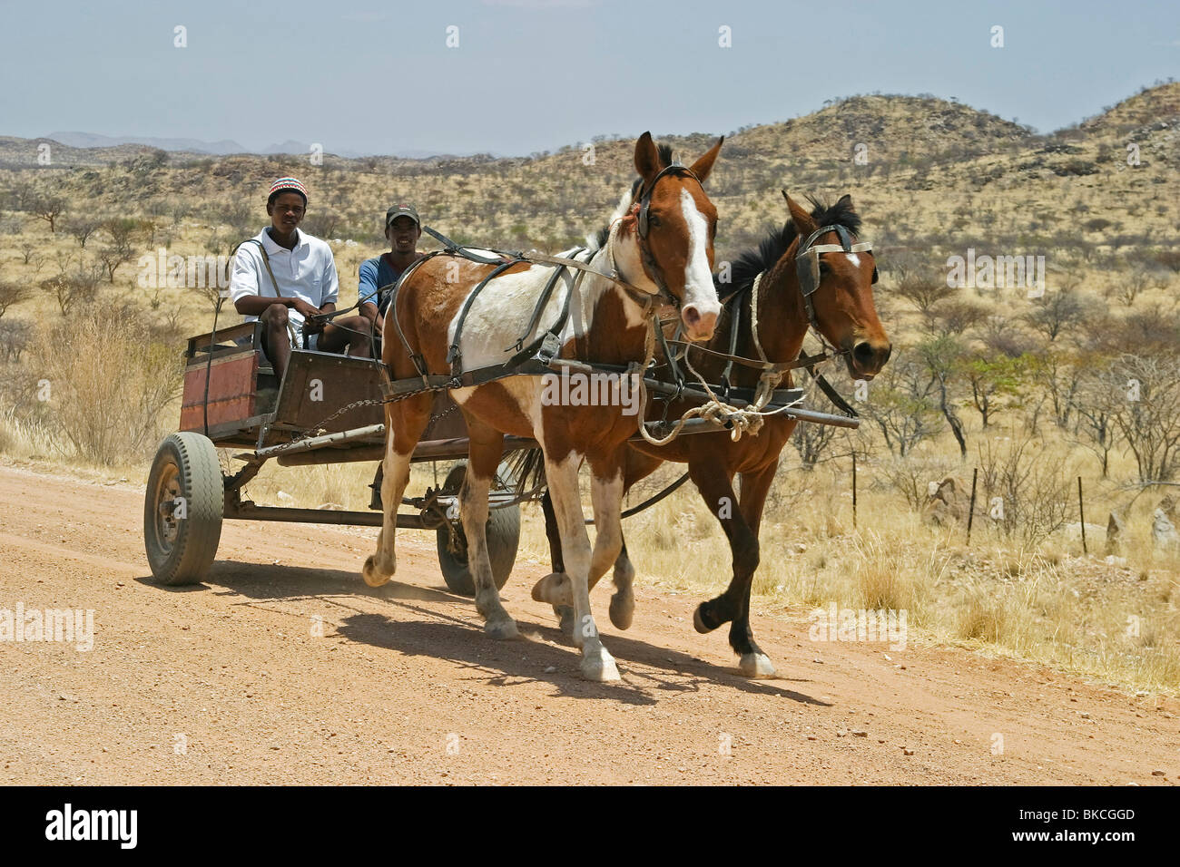 Running horse carriages hi-res stock photography and images - Alamy