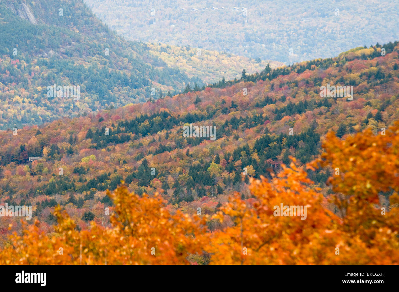 Bear notch road autumn hi-res stock photography and images - Alamy
