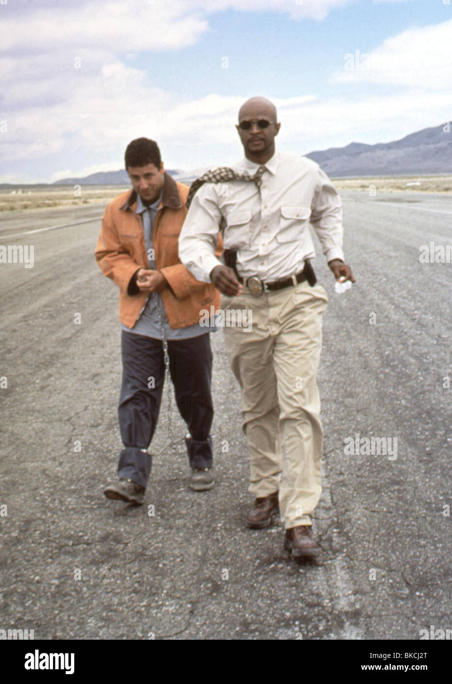 Damon Wayans Bulletproof