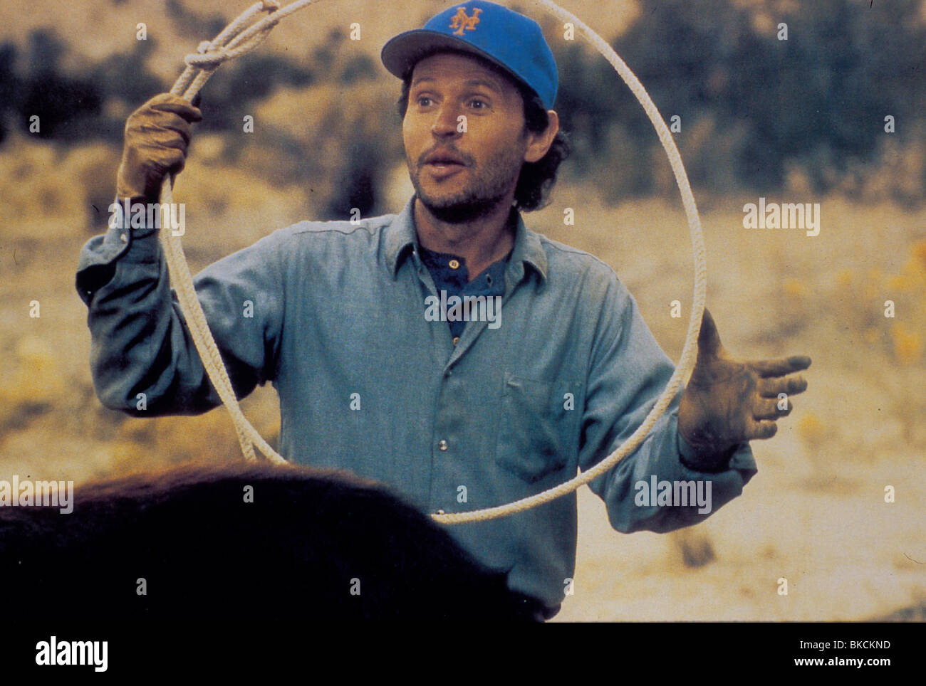 Film City Slickers High Resolution Stock Photography and Images - Alamy
