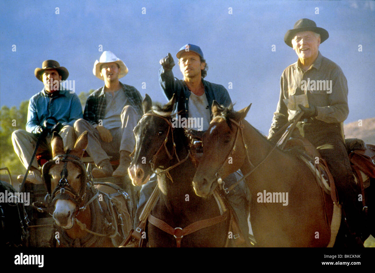 Curlys gold billy crystal jon l hi-res stock photography and images - Alamy