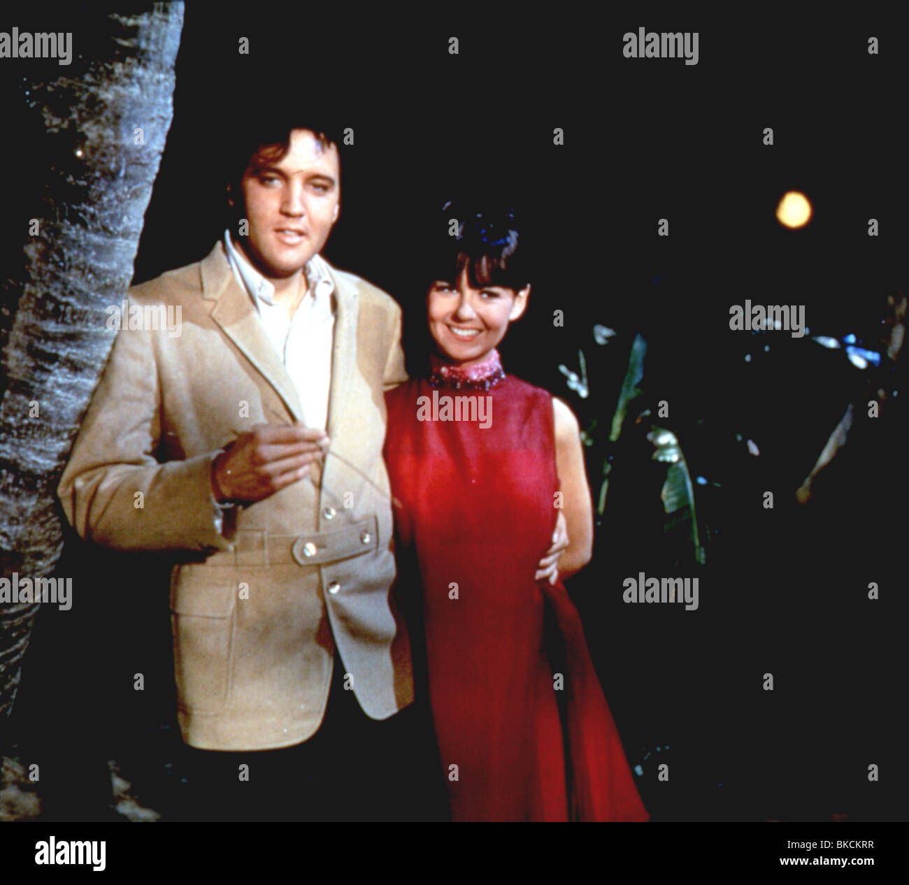 CLAMBAKE (1967) ELVIS PRESLEY, SHELLEY FABARES CMBK 001 L Stock Photo ...