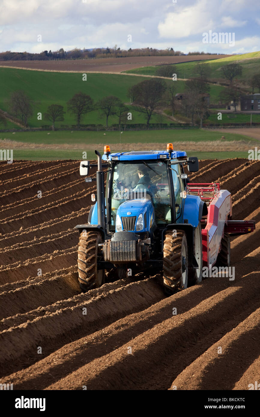Furrow irrigation & cultivation methods used in Potato Farming; Grimme ...