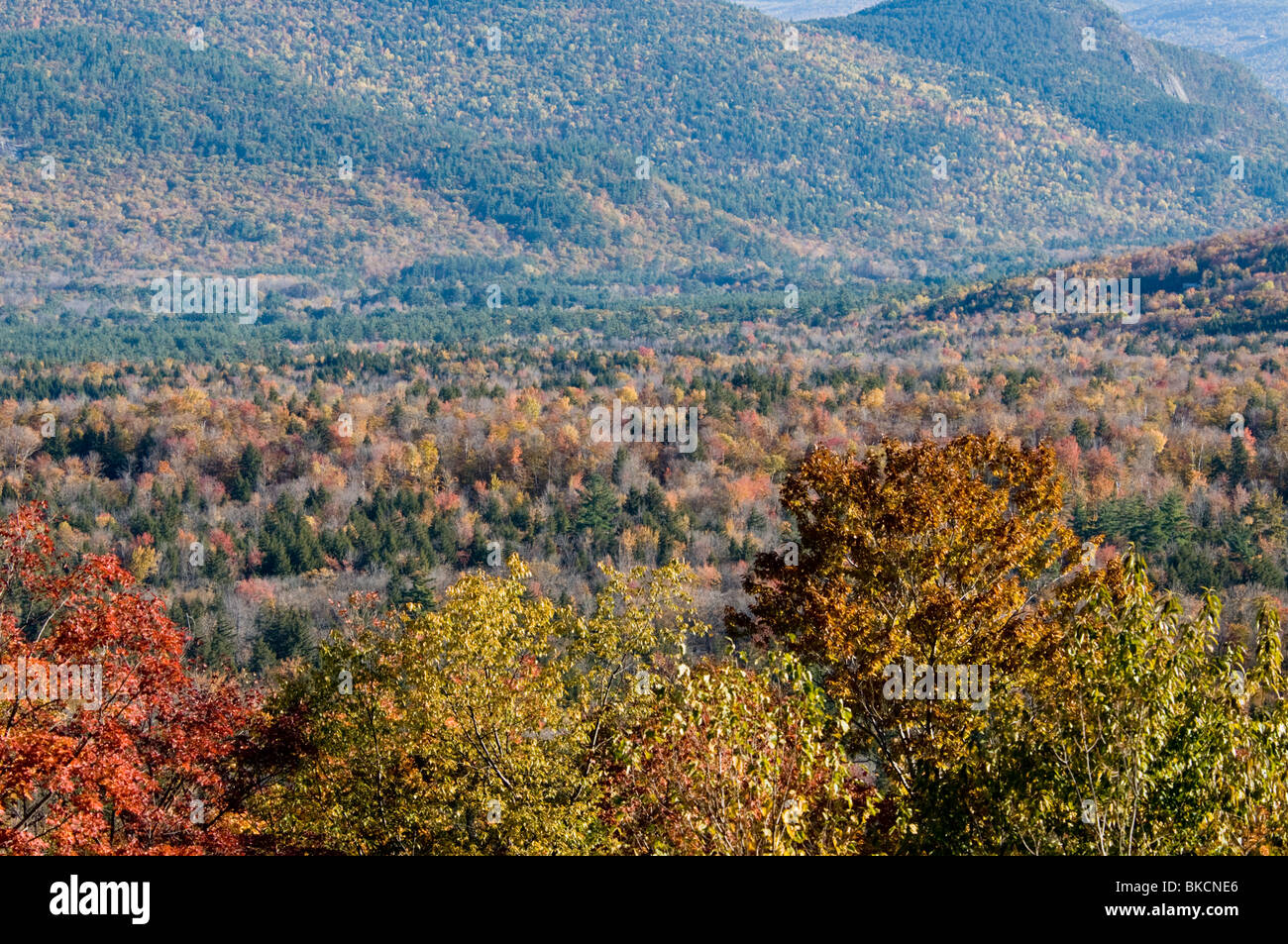 Fall Foliage, Autumn Fall,Colors,Colour,Colours,Bear Notch Road ...
