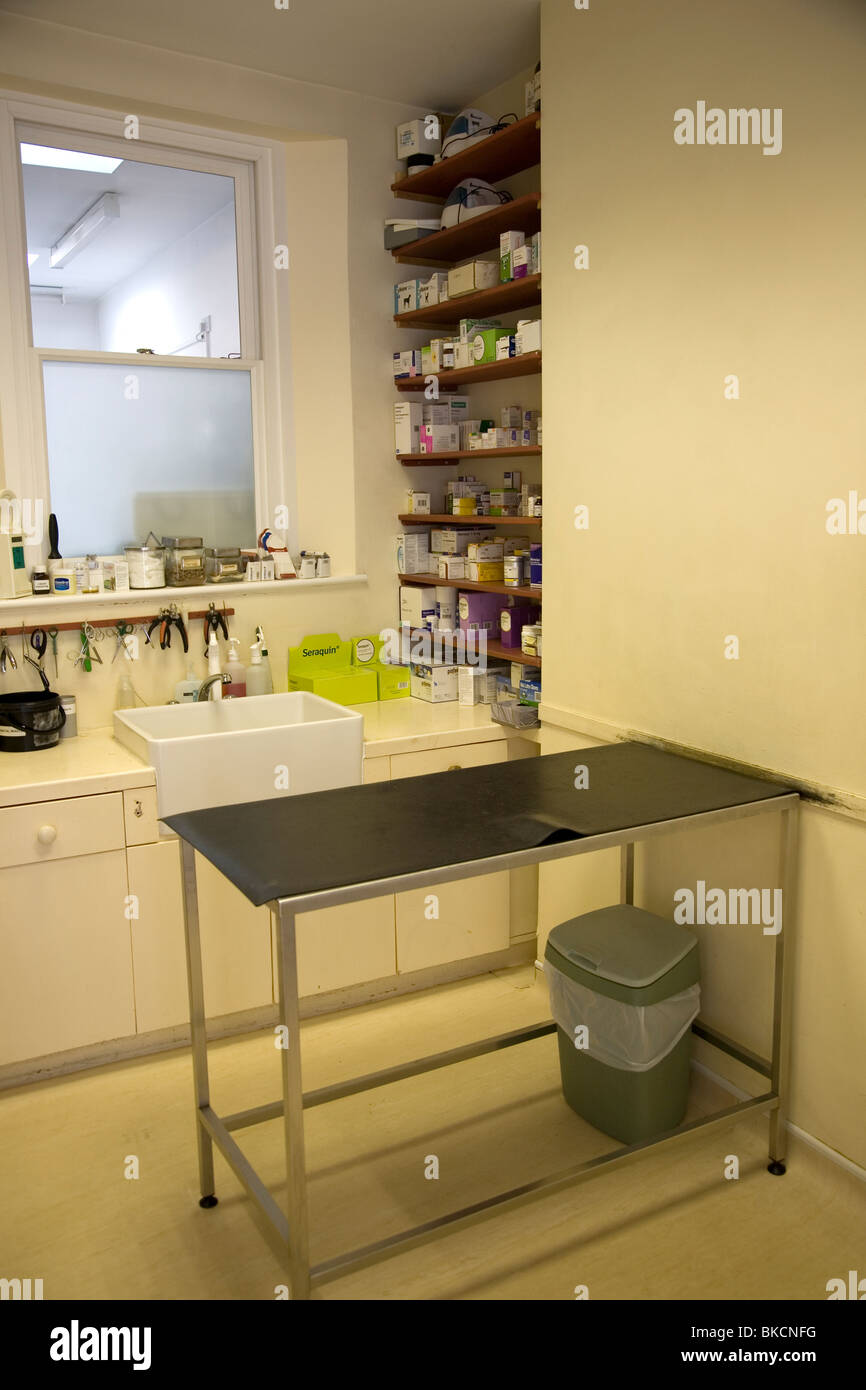 Interior of Veterinary shop and clinic Stock Photo - Alamy