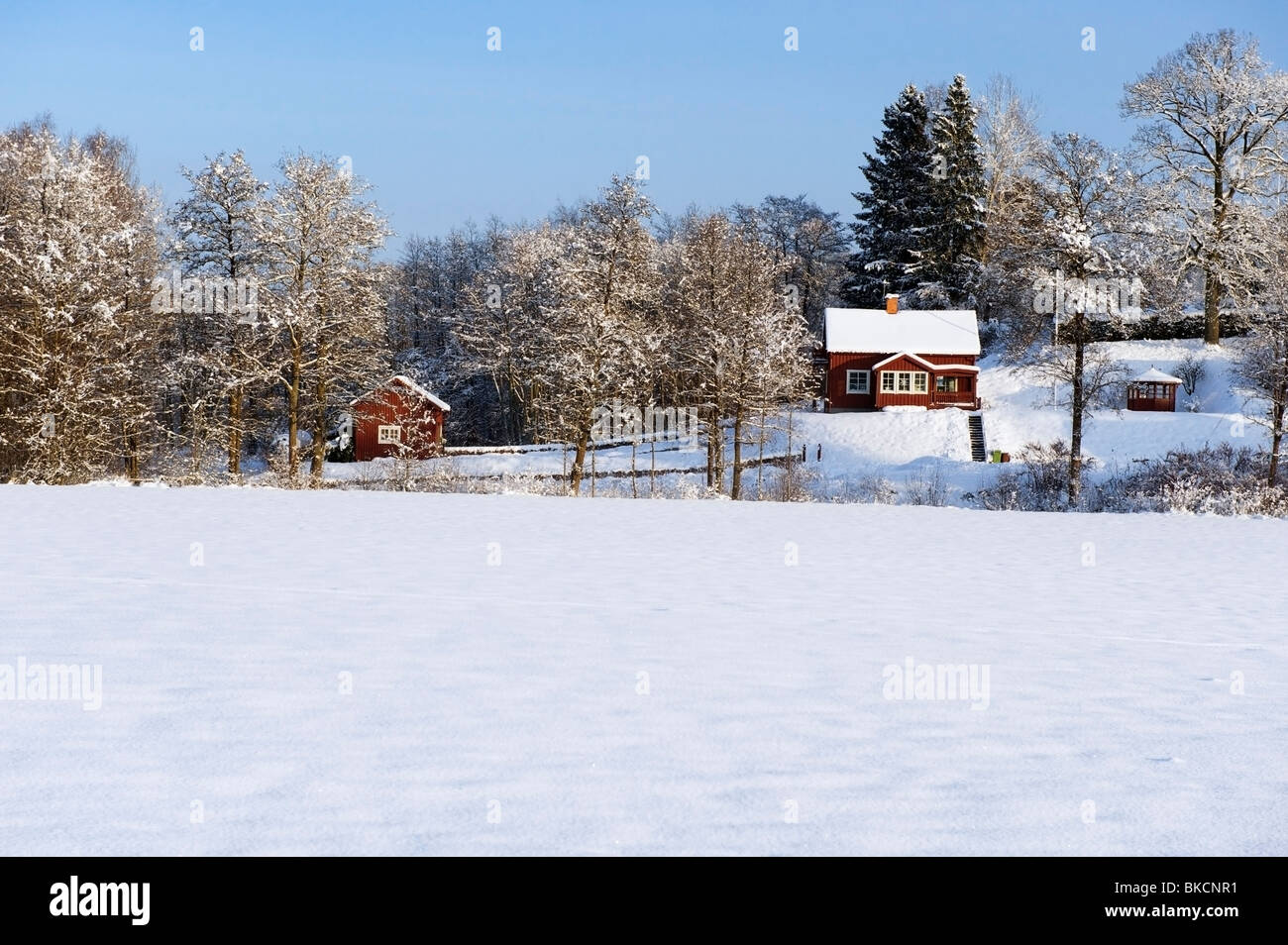 Winter on Christmas in sweden Stock Photo - Alamy