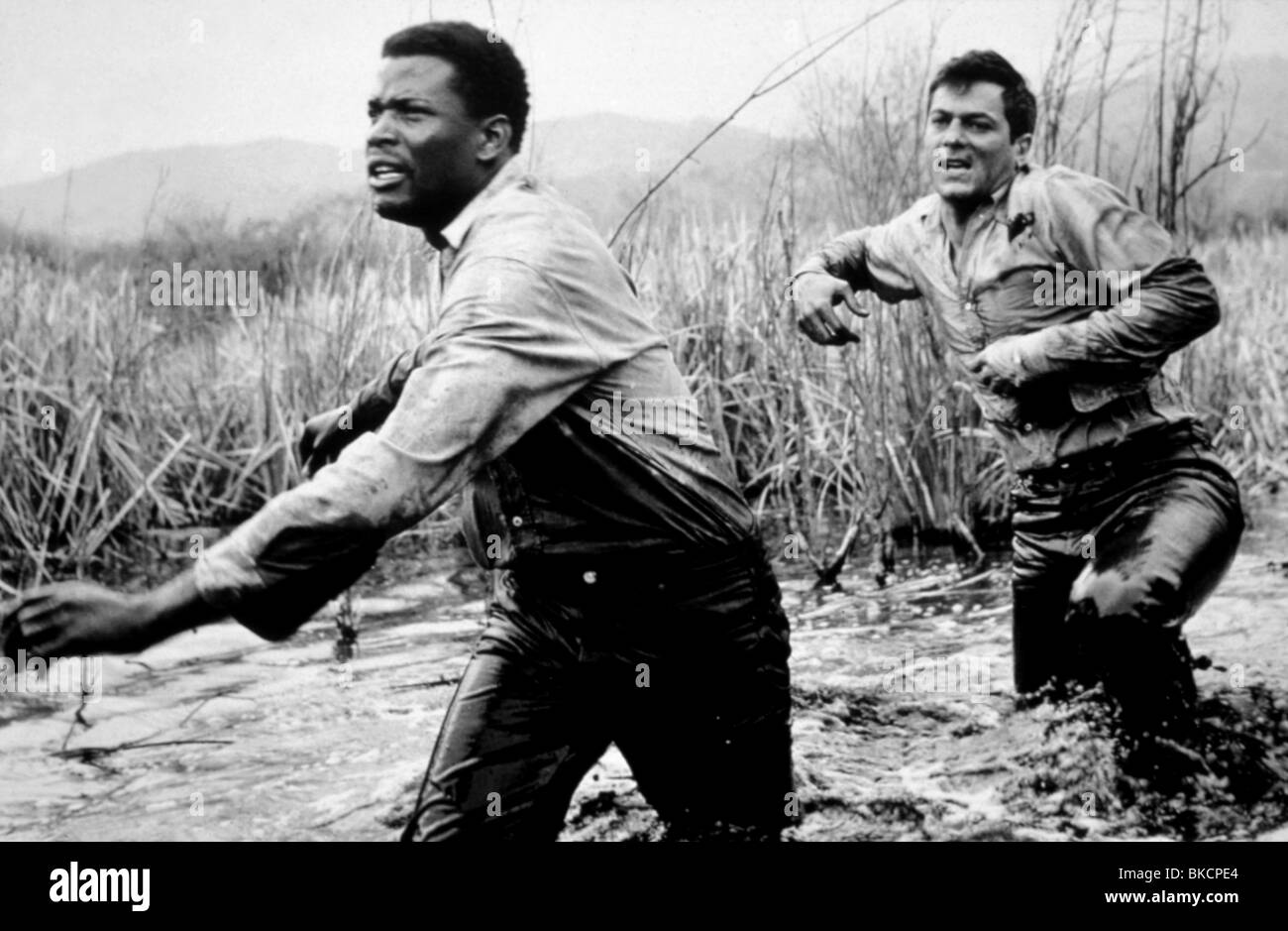 THE DEFIANT ONES (1958) SIDNEY POITIER, TONY CURTIS DFOS 002 Stock ...