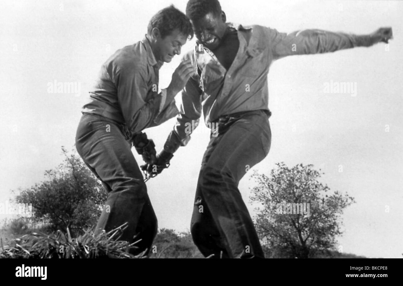 THE DEFIANT ONES (1958) TONY CURTIS, SIDNEY POITIER DFOS 008 Stock ...