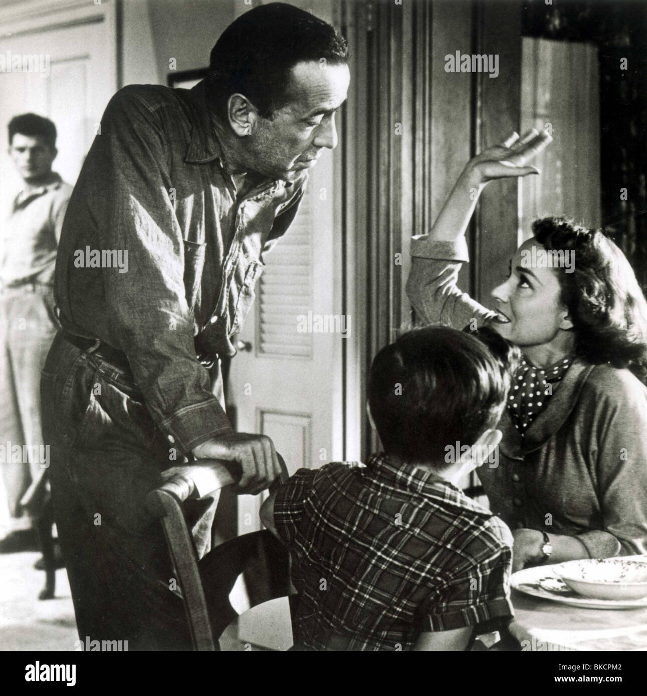 THE DESPERATE HOURS (1955) DEWEY MARTIN,HUMPHREY BOGART,MARTHA SCOTT ...