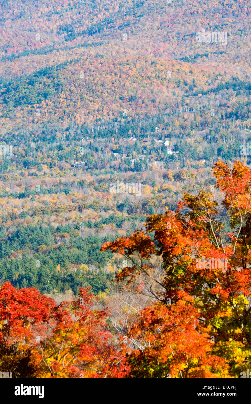 Fall Foliage, Autumn Fall,Colors,Colour,Colours,Bear Notch Road ...