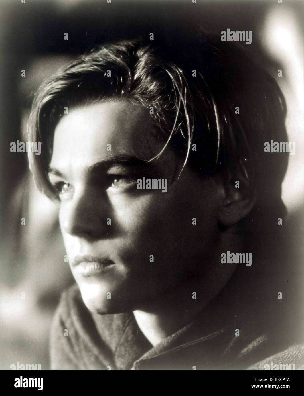 LEONARDO DICAPRIO PORTRAIT Stock Photo - Alamy