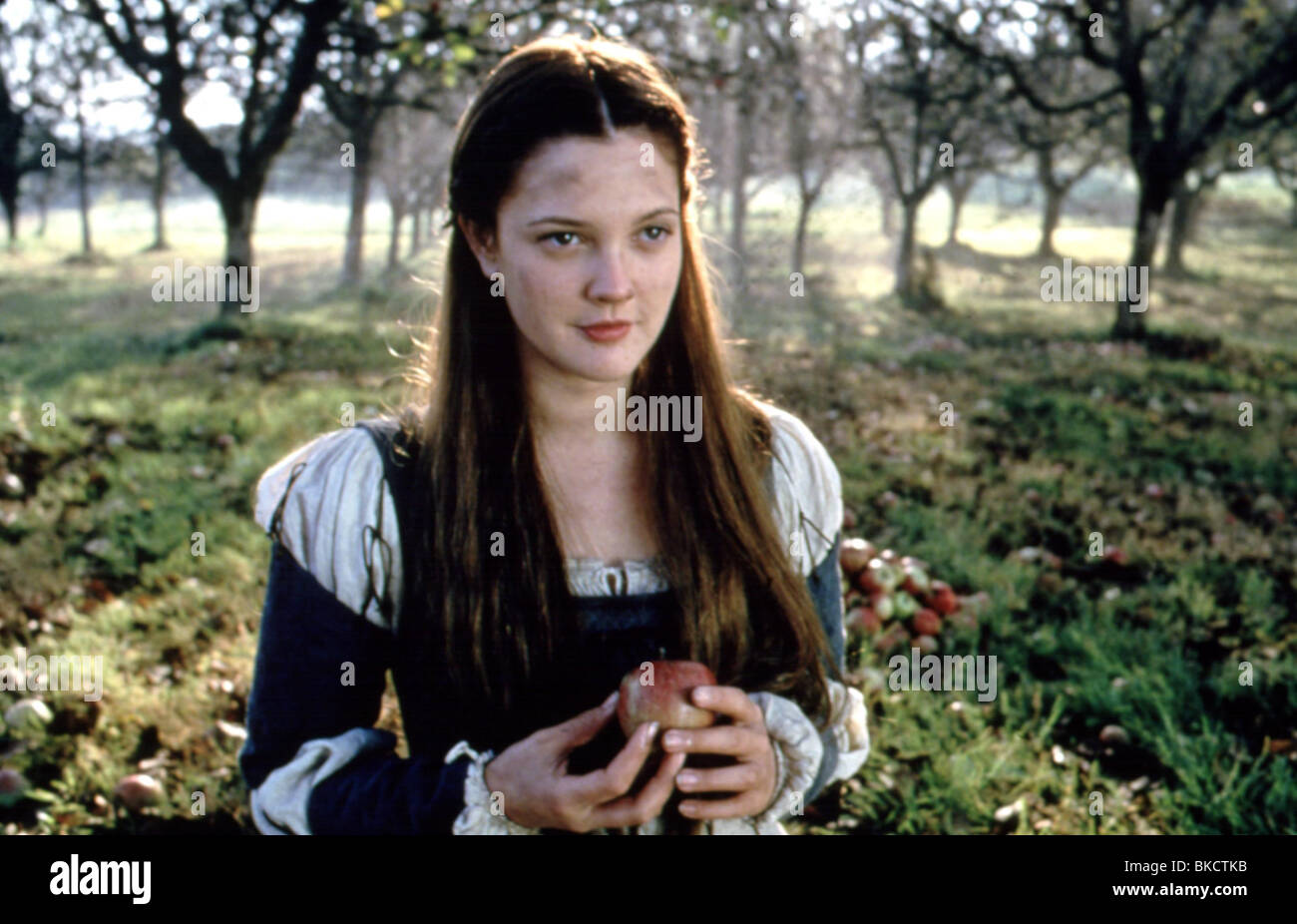 Ever After A Cinderella Story Danielle