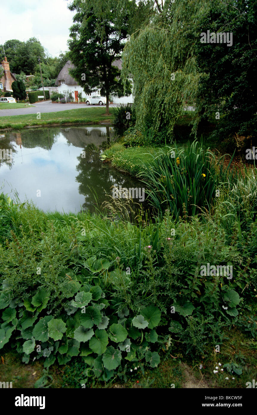 North waltham hampshire hi-res stock photography and images - Alamy