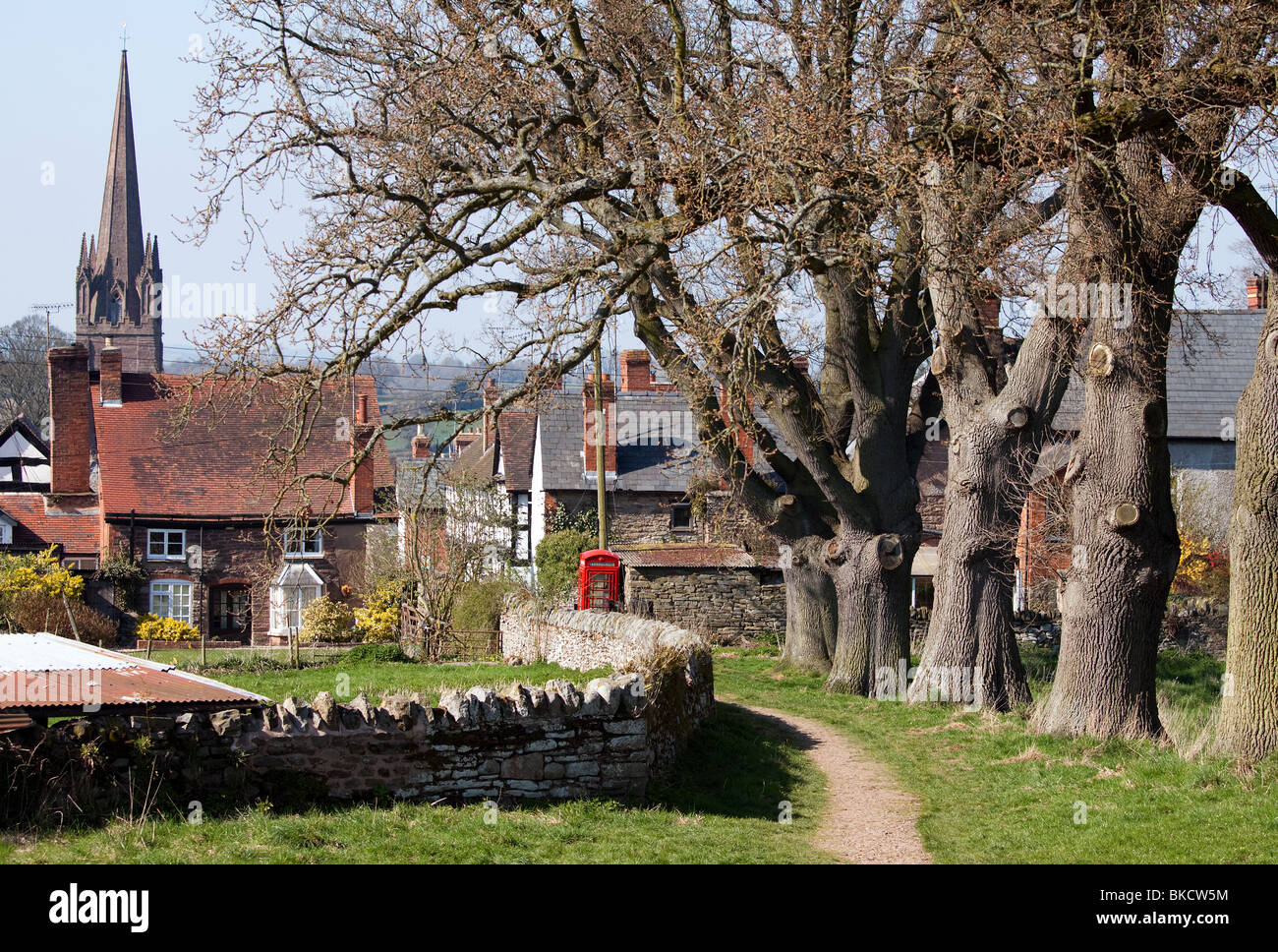 Horizontal view of Weobley Church and Village from the public footpath ...