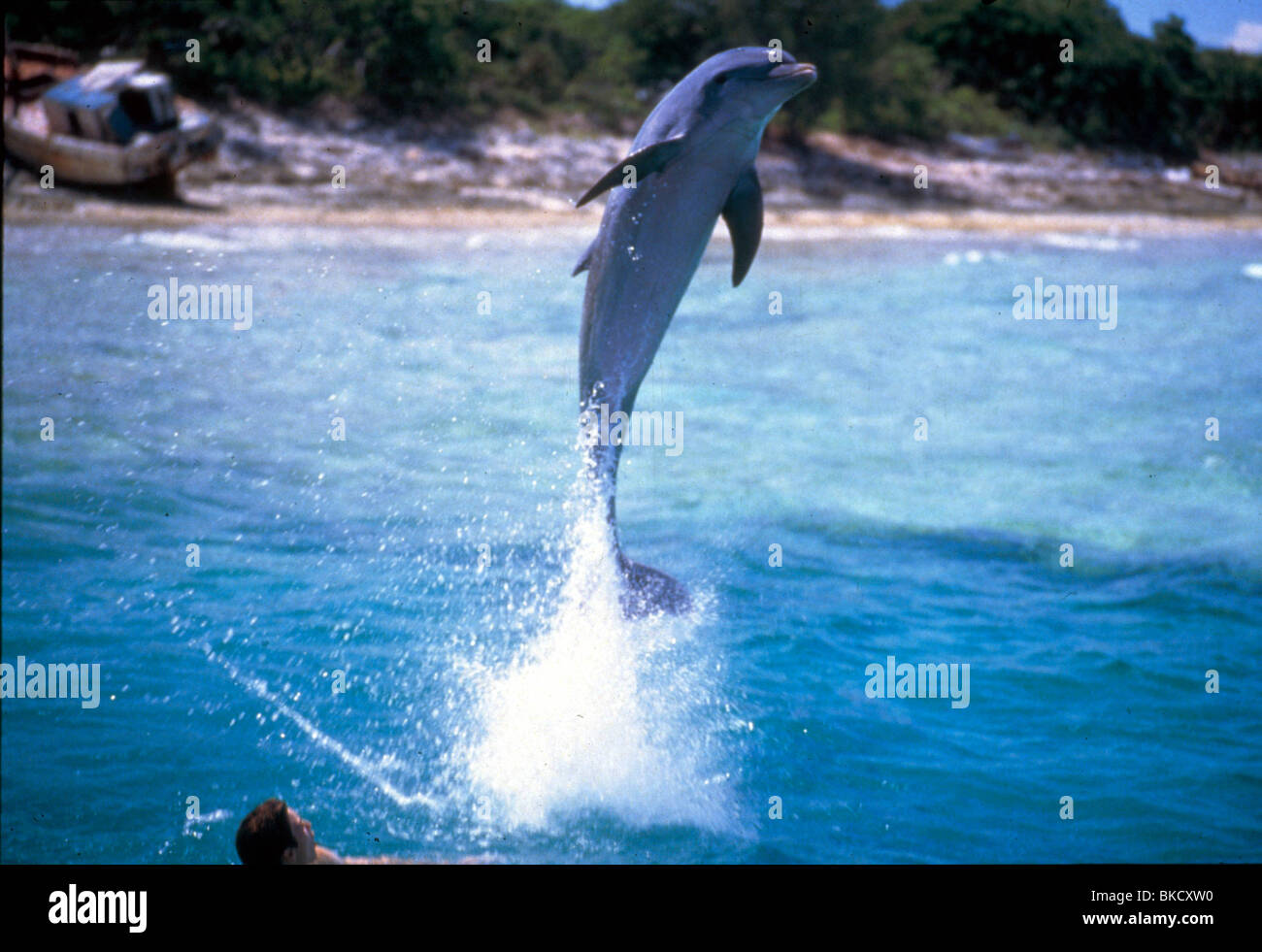 Flipper movie hi-res stock photography and images - Alamy