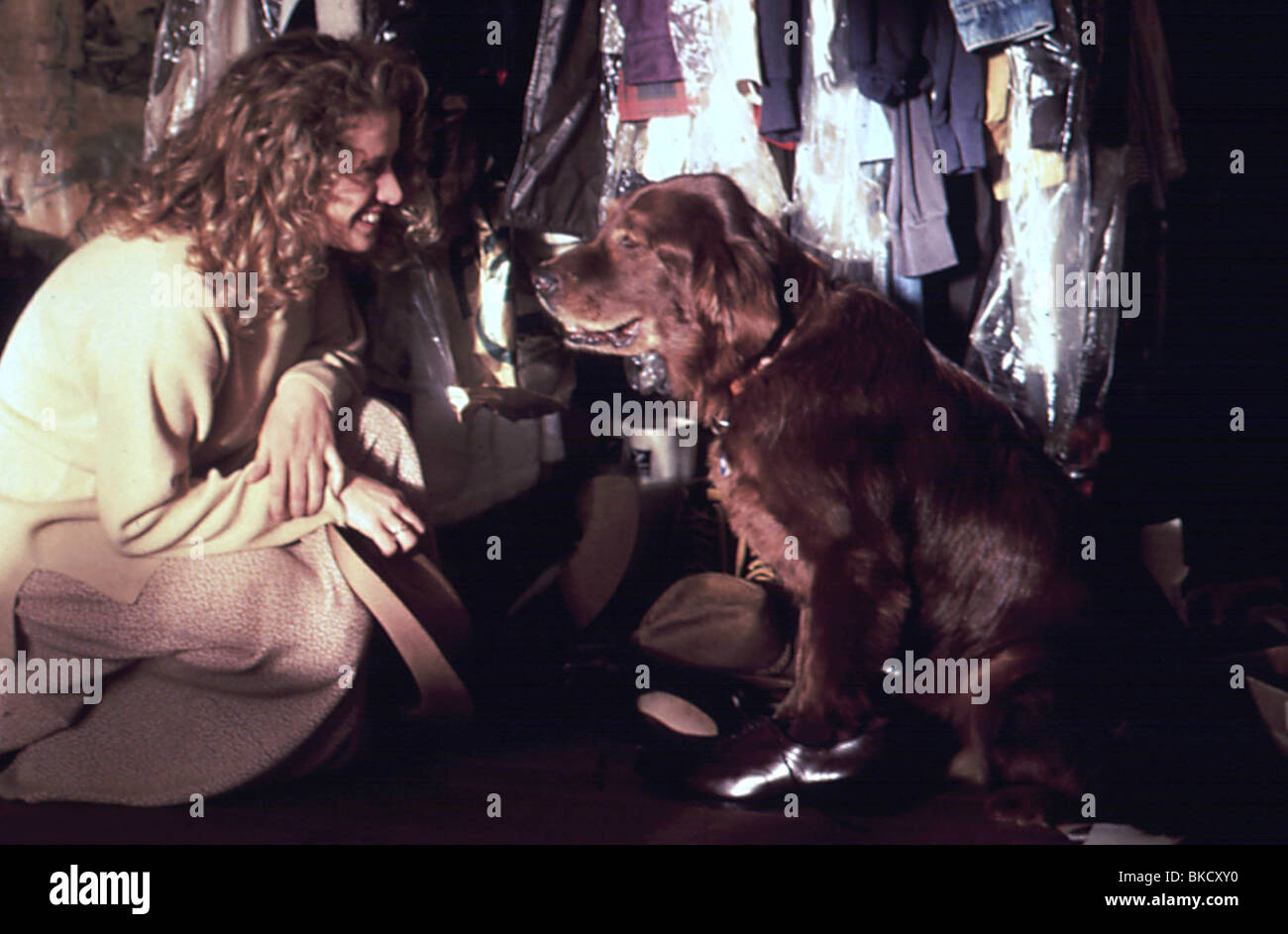 Fluke 1995 Rumbo