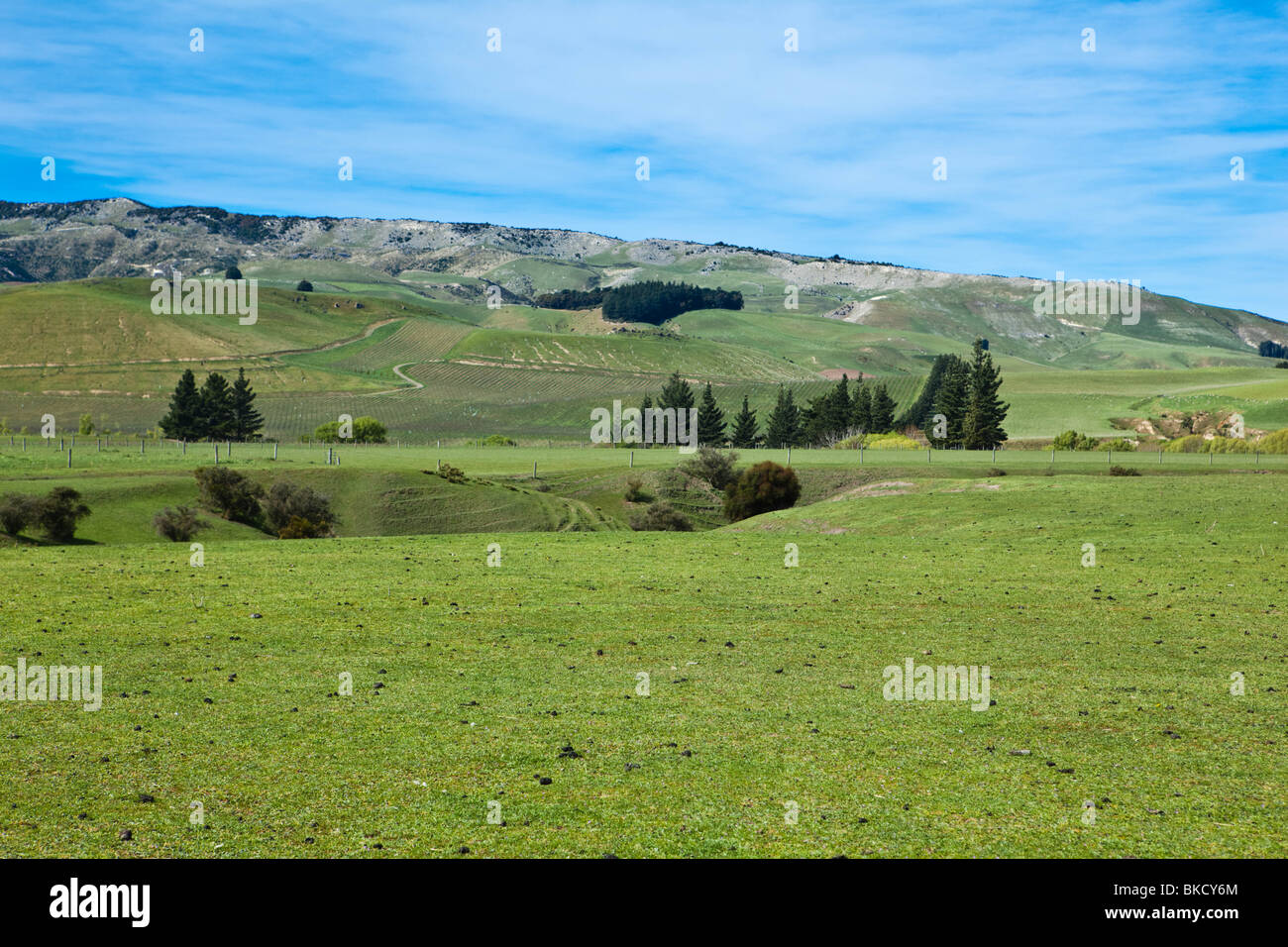 Greta valley hi-res stock photography and images - Alamy
