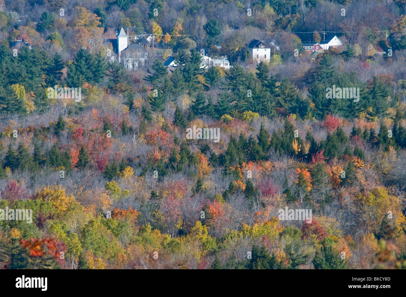 Fall Foliage, Autumn Fall,Colors,Colour,Colours,Bear Notch Road ...