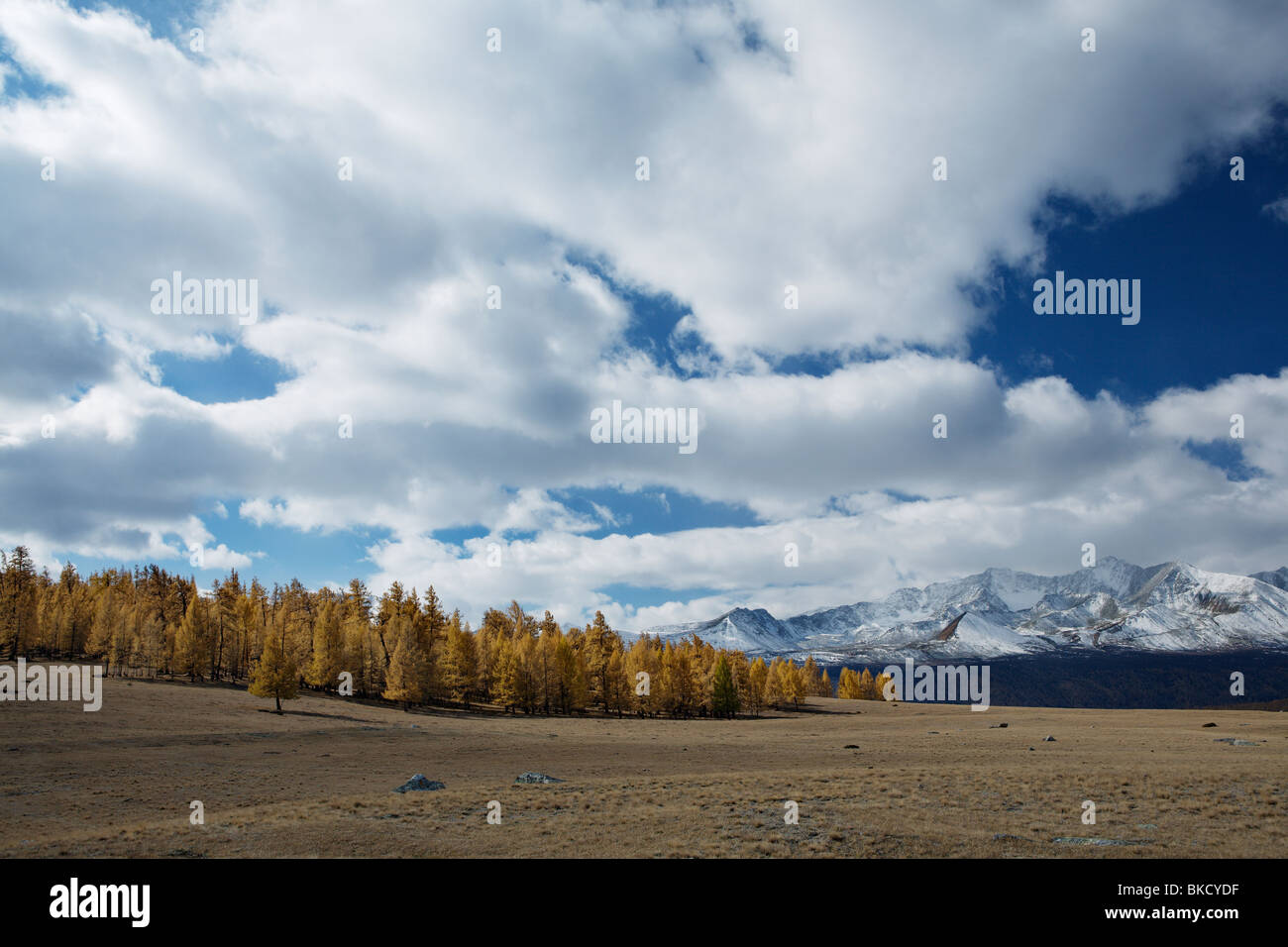 Altai tavan bogd national park hi-res stock photography and images - Alamy