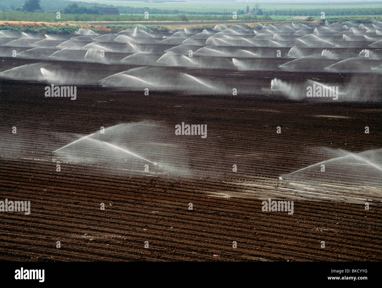 Sprinkler patterns hi-res stock photography and images - Alamy