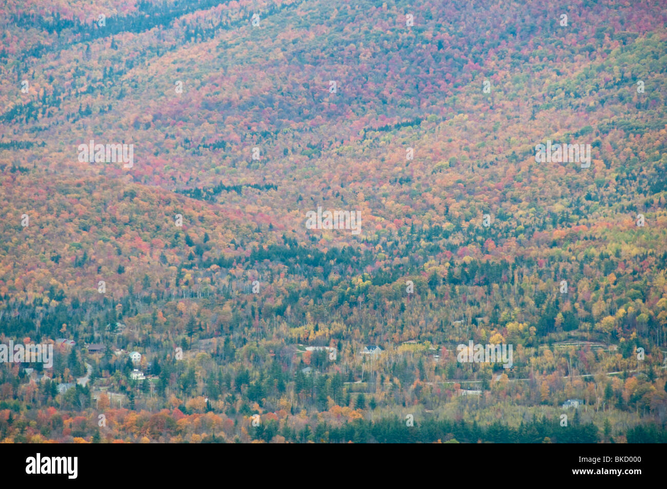 Fall Foliage, Autumn Fall,Colors,Colour,Colours,Bear Notch Road ...