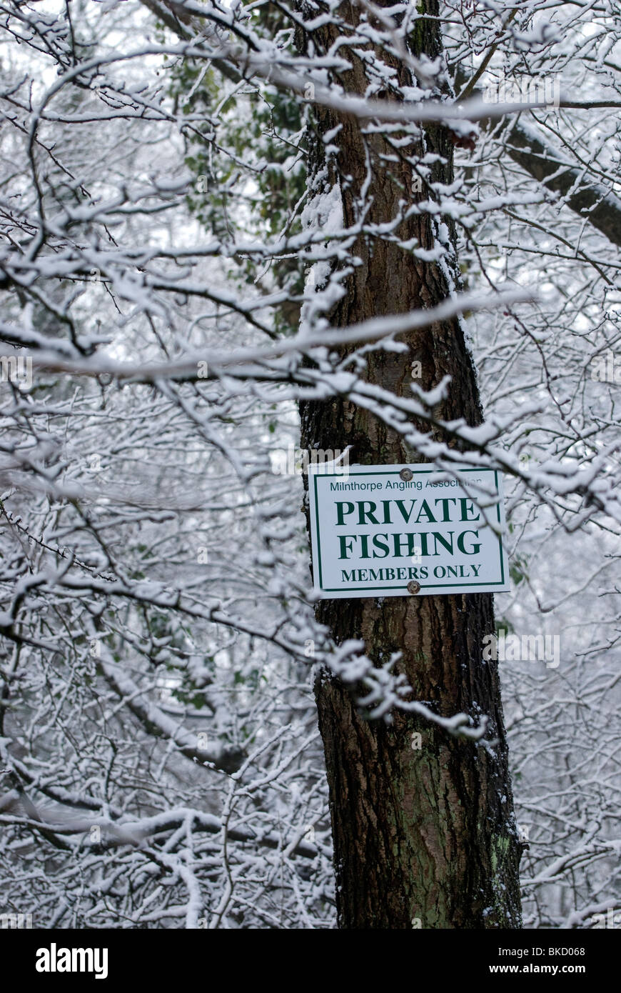 Fishing tree hi-res stock photography and images - Alamy