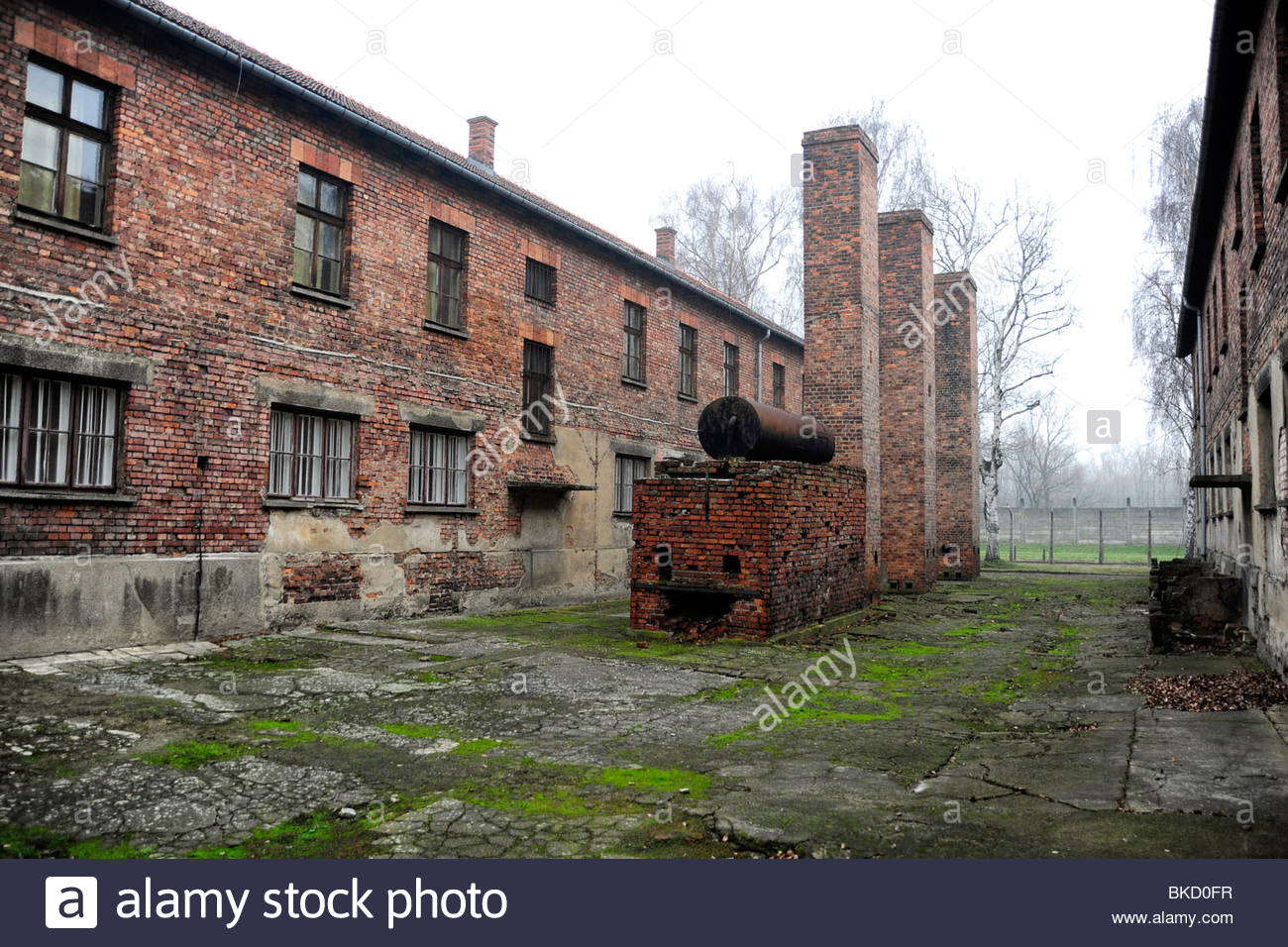 Prison Blocks Auschwitz Birkenau Concentration Camp Stock Photos ...