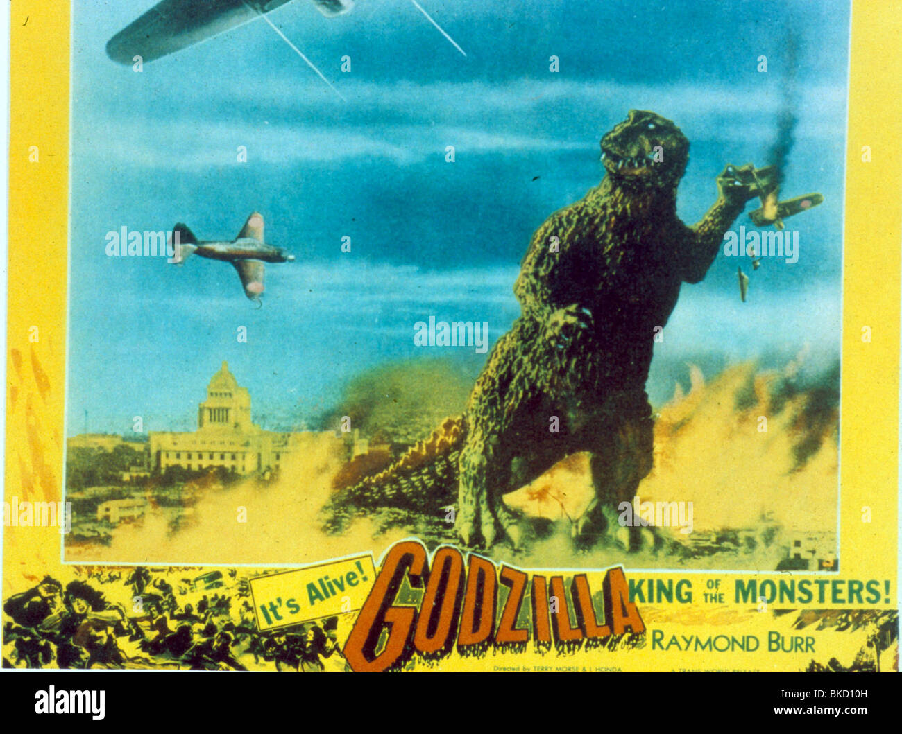 Godzilla 1955