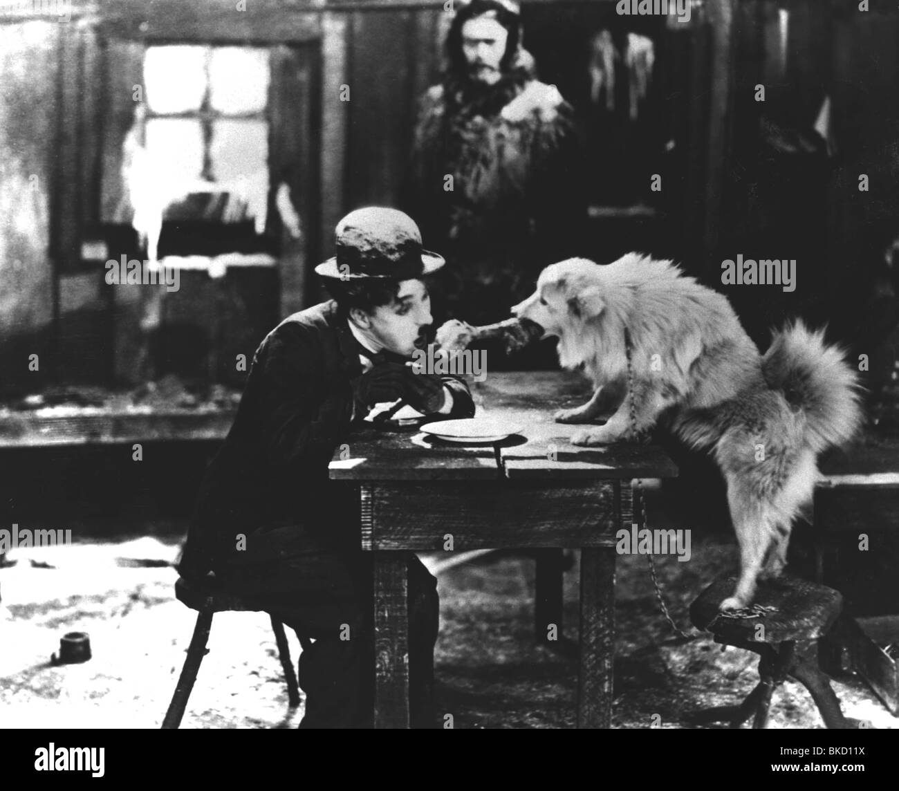 THE GOLD RUSH (1925) CHARLIE CHAPLIN GLRU 011P Stock Photo - Alamy