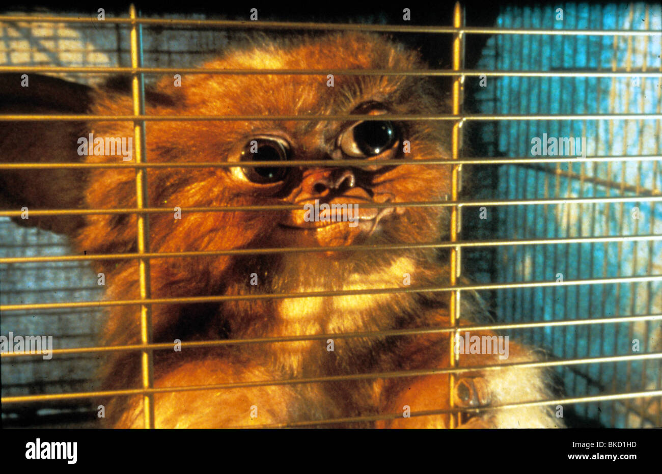 Gremlins hi-res stock photography and images - Alamy