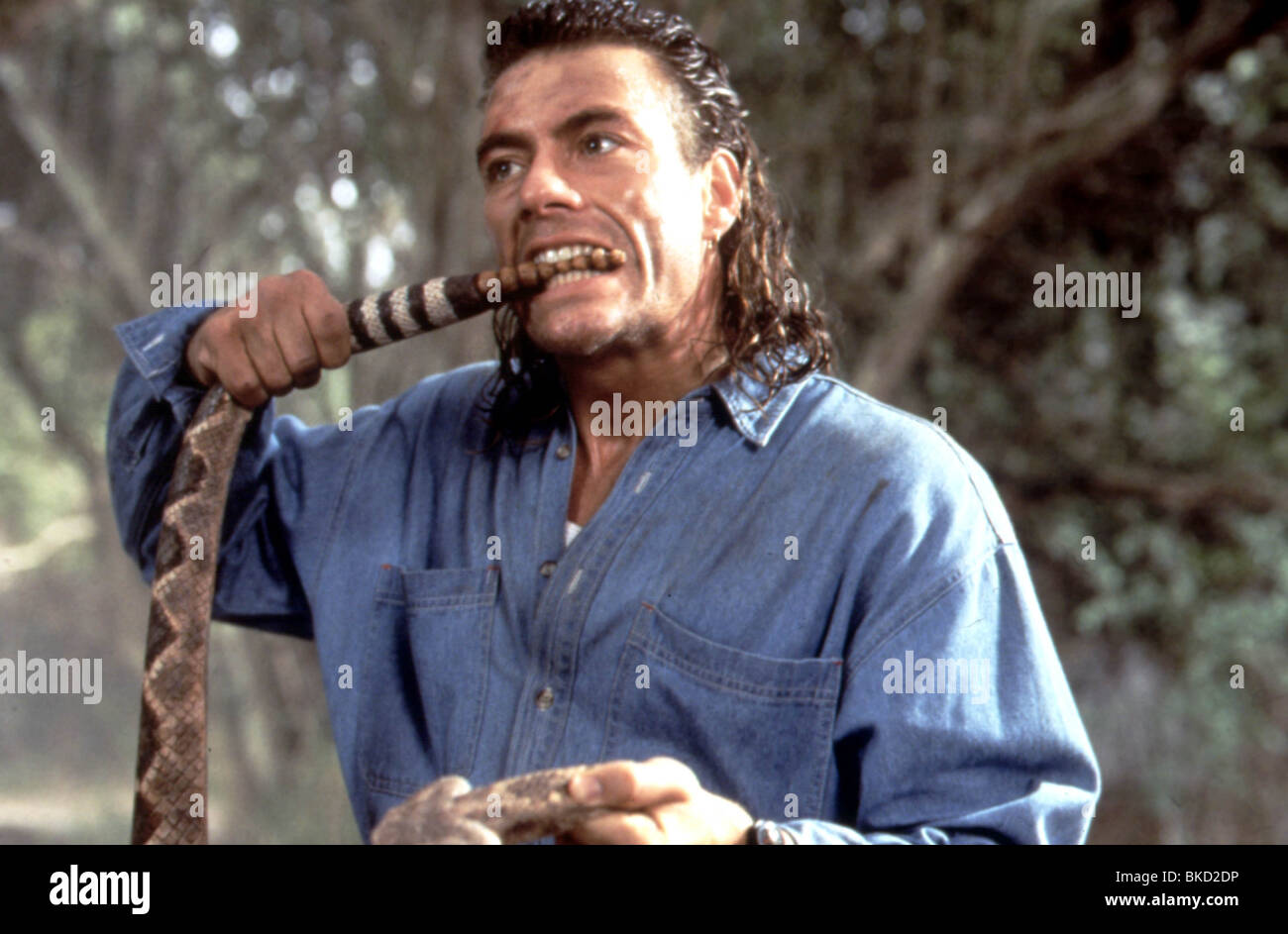 HARD TARGET (1993) JEAN-CLAUDE VAN DAMME HDT 009 Stock Photo - Alamy