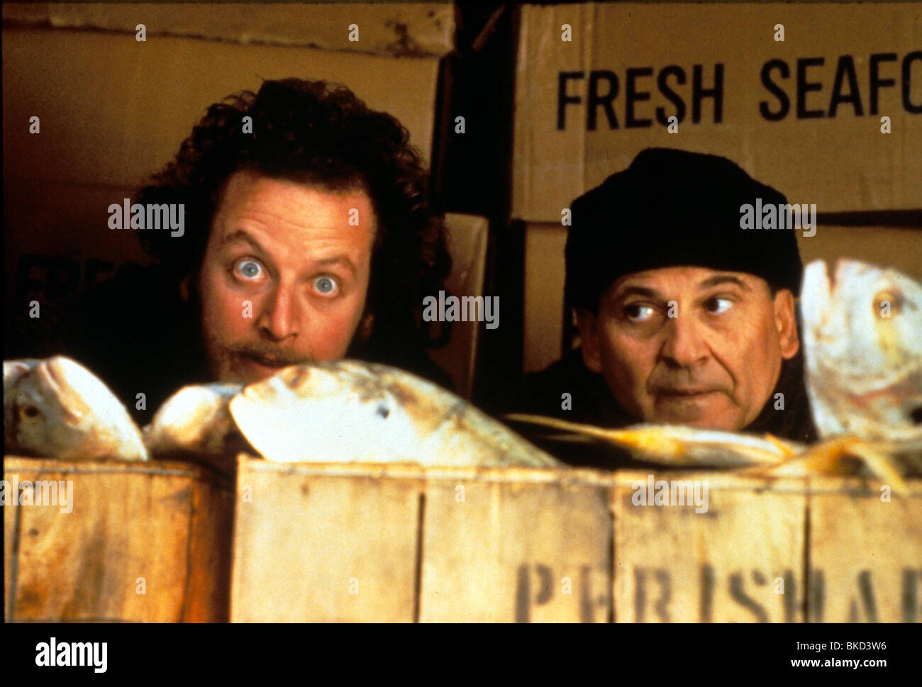 HOME ALONE 2: LOST IN NEW YORK (1992) DANIEL STERN, JOE PESCI HM2 061 ...