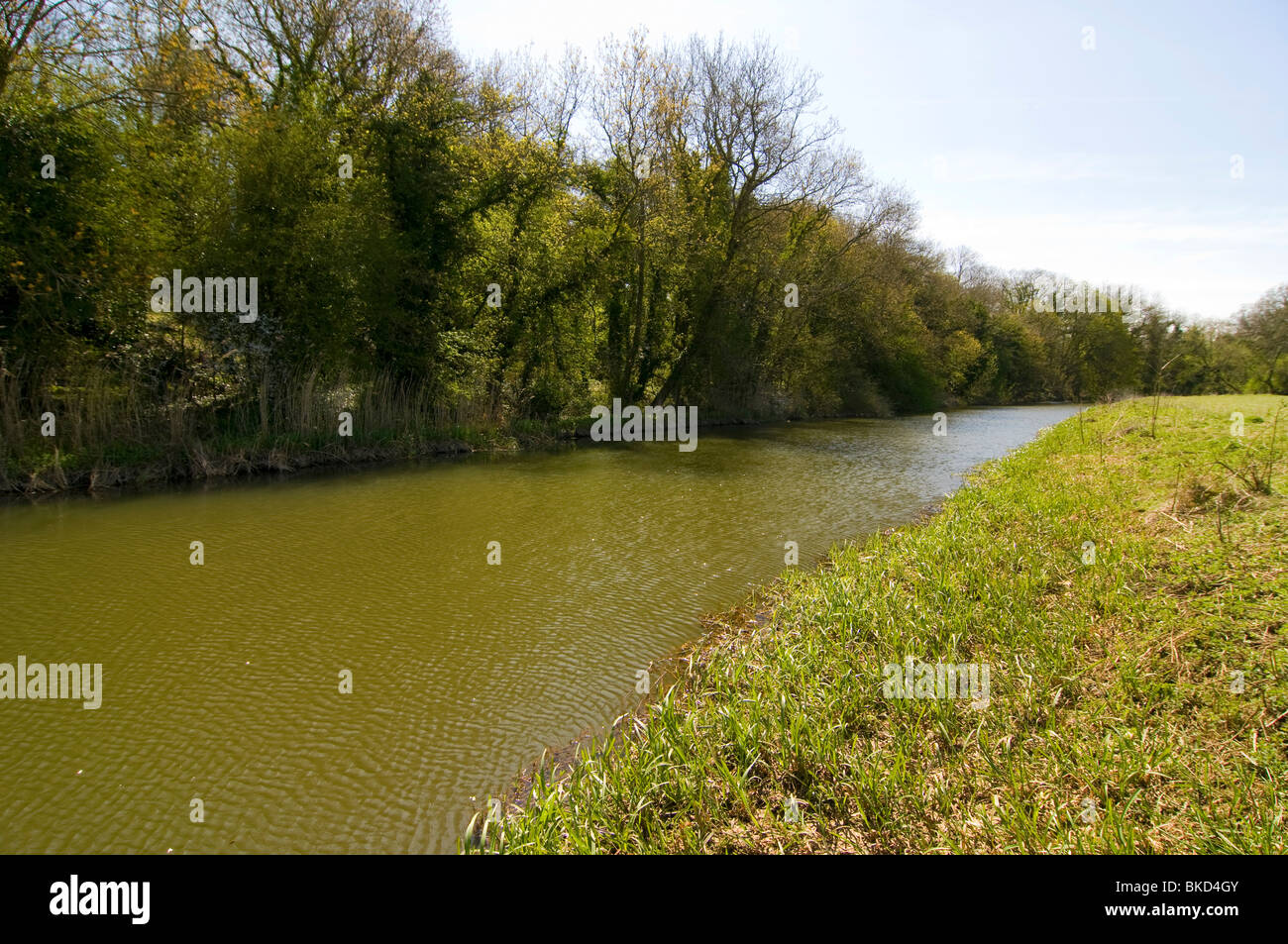 The River Cherwell in Oxfordshire, bright sunny day, blue sky Stock ...