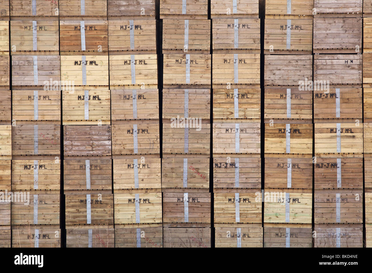 Stacks of empty wooden potato boxes Stock Photo - Alamy