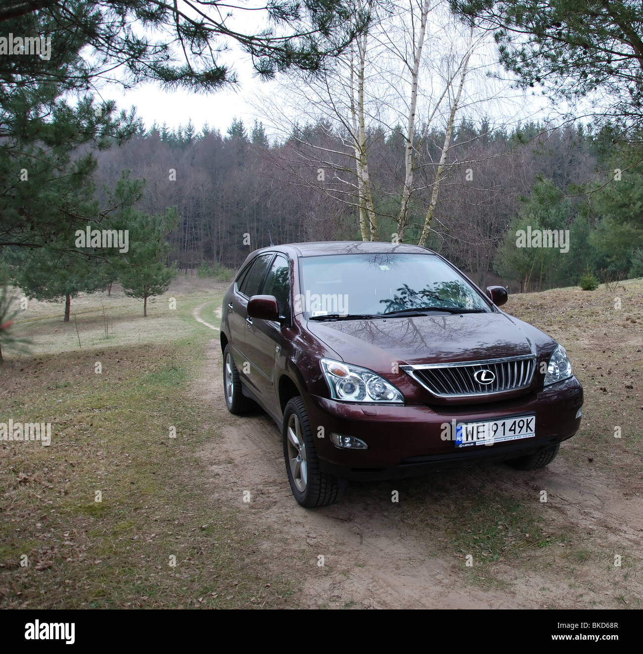 Lexus RX 350 - MY 2004 (MK2) - brown - five doors (5D) - Japanese ...