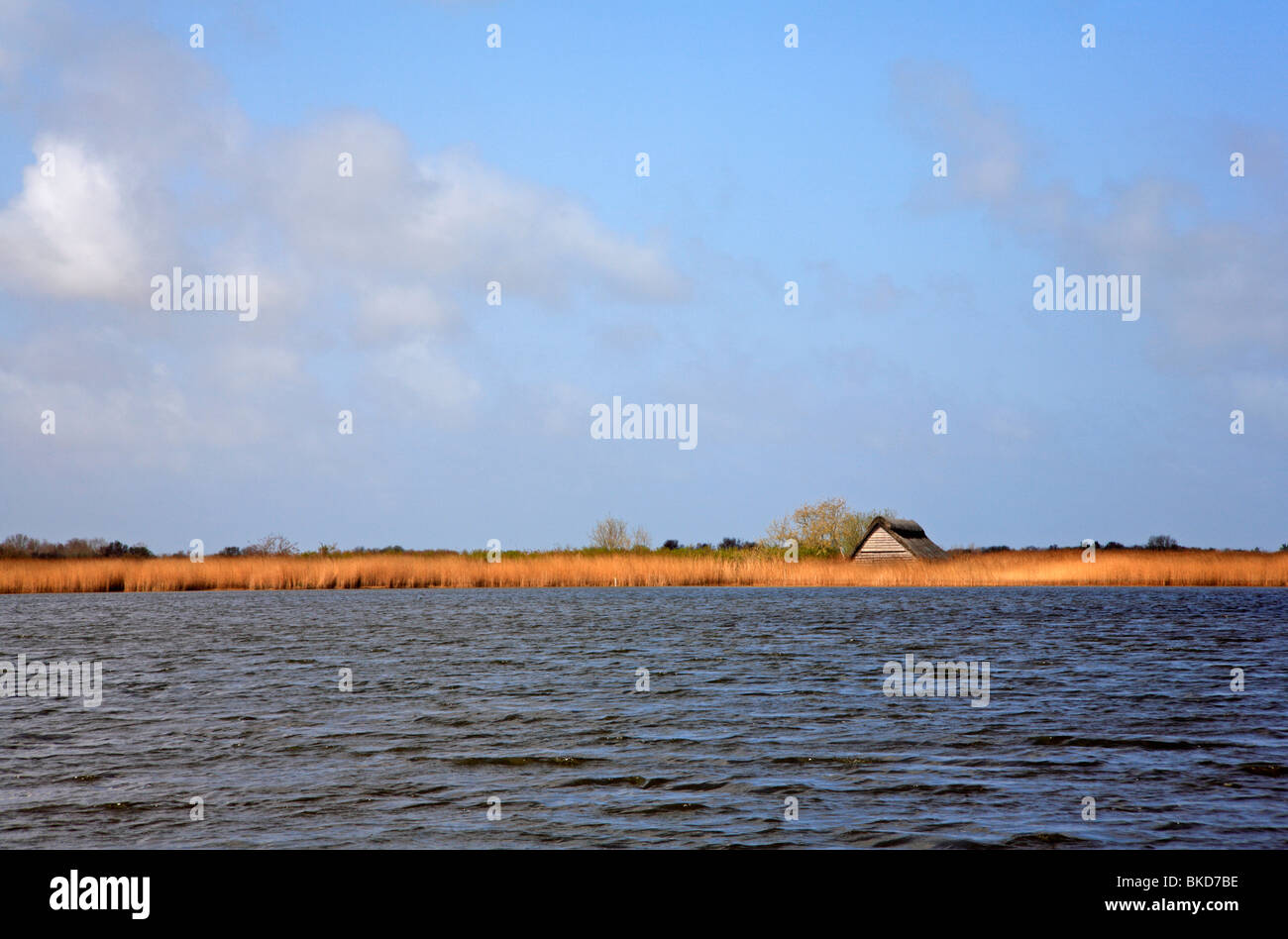 Martham broad national nature reserve hi-res stock photography and ...