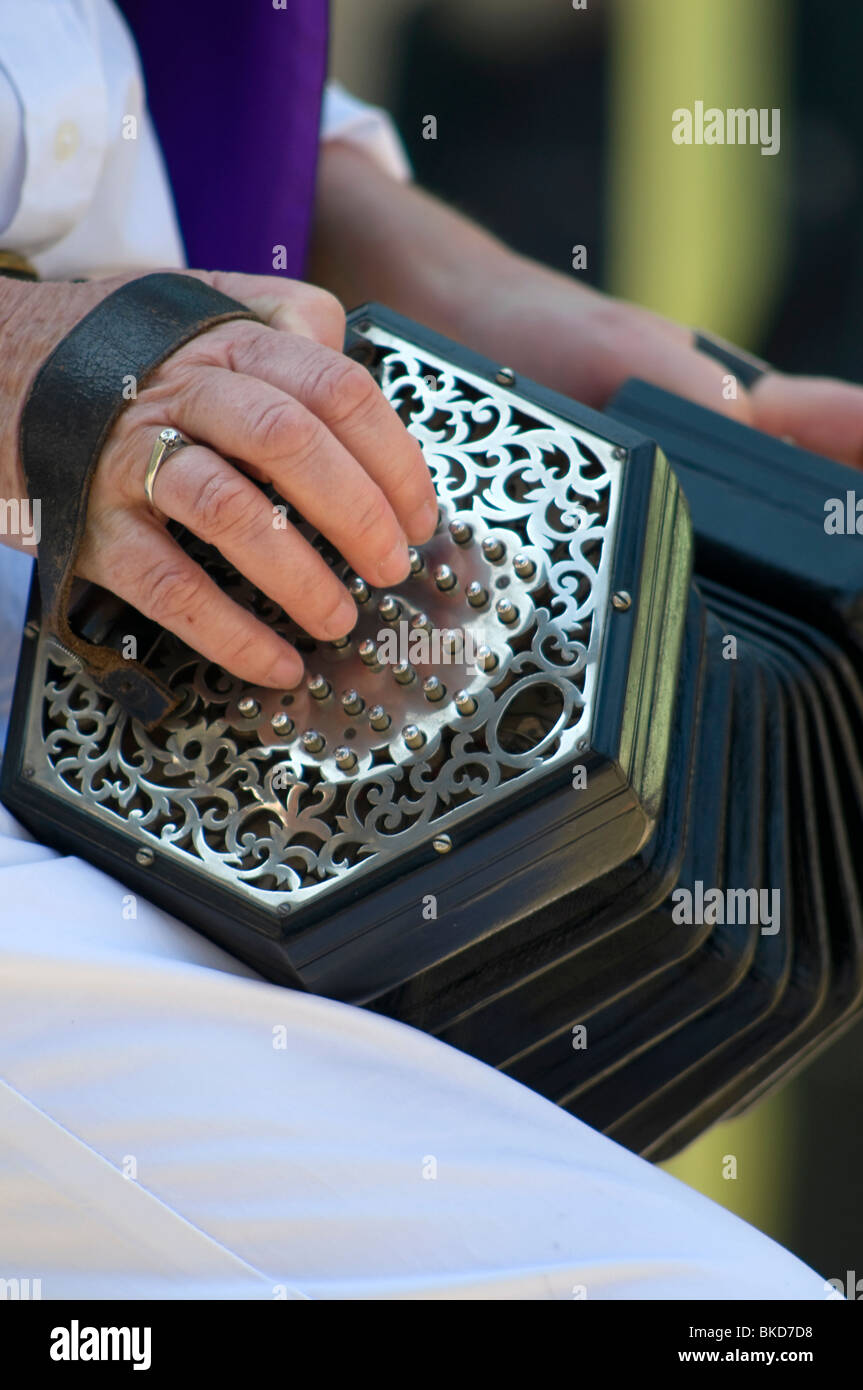 Concertina playing hi-res stock photography and images - Alamy
