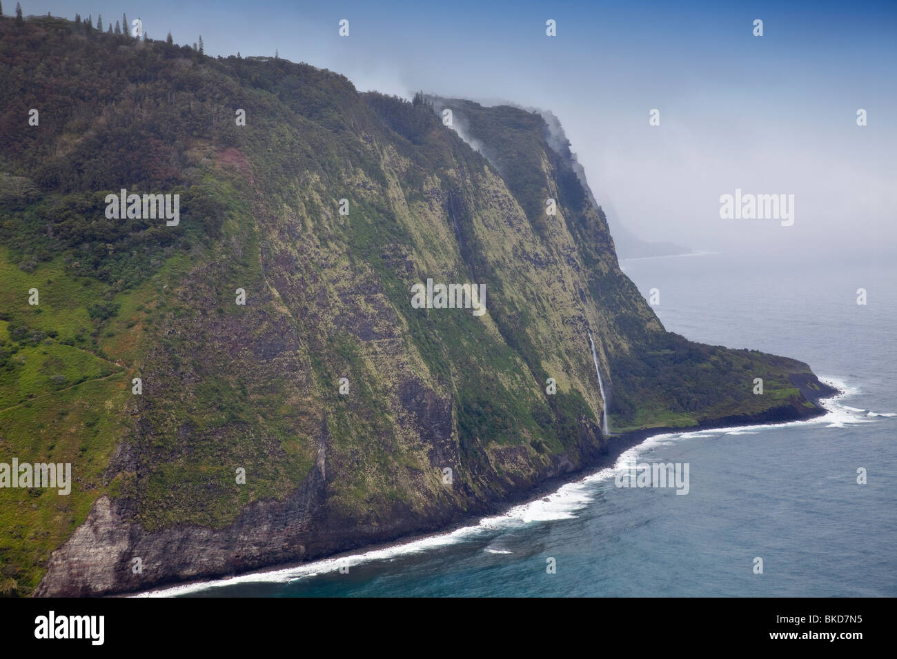 The pali (cliff) as seen from Waipio Lookout above Waipio Valley,Hawaii ...