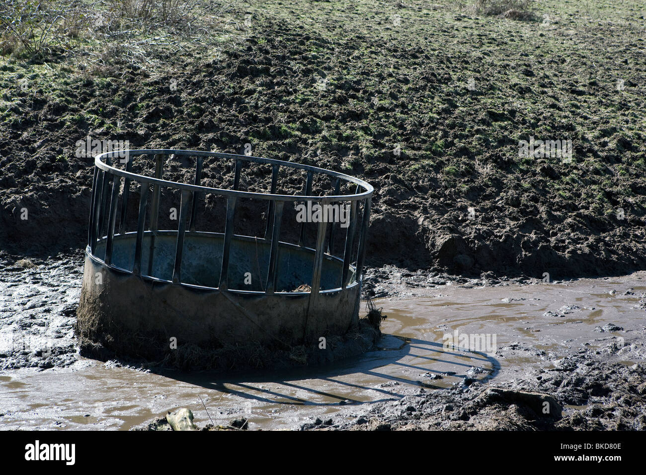 Slurry farm hi-res stock photography and images - Alamy