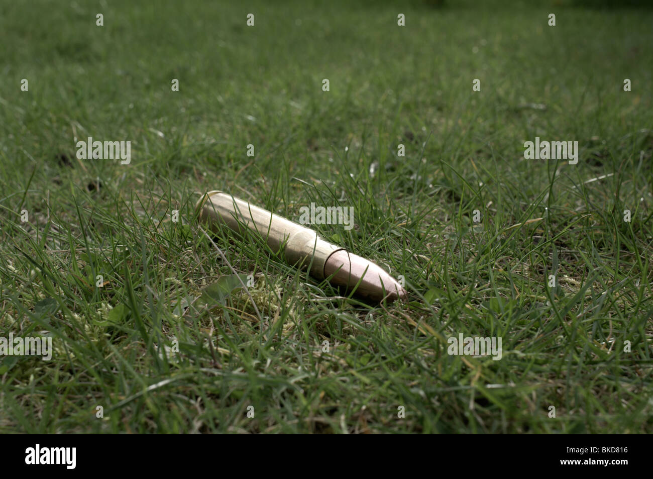 .5 calibre caliber machine gun bullet lies in the grass Stock Photo - Alamy