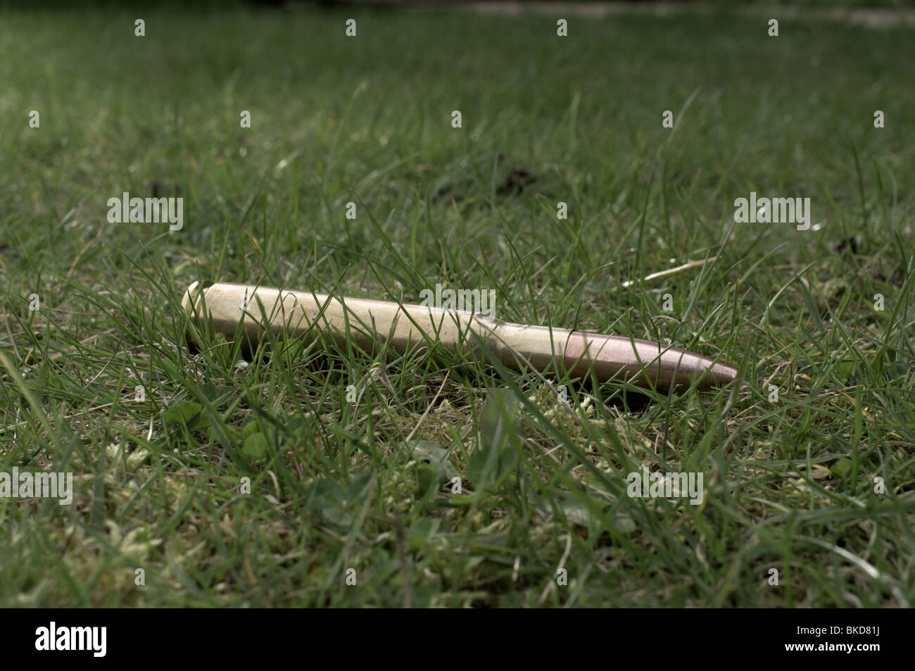 .5 calibre caliber machine gun bullet lies in the grass Stock Photo - Alamy