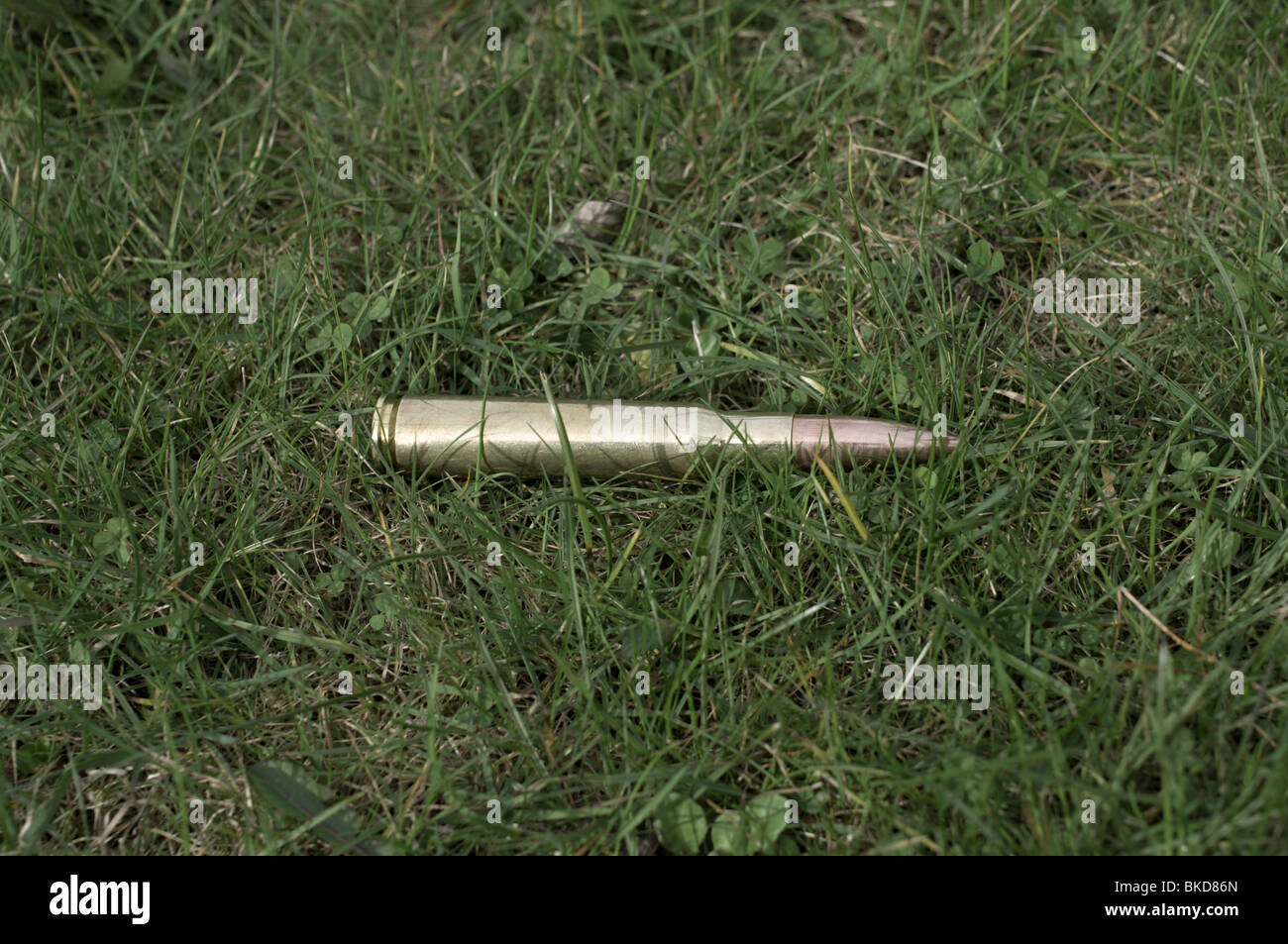 .5 calibre caliber machine gun bullet lies in the grass Stock Photo - Alamy