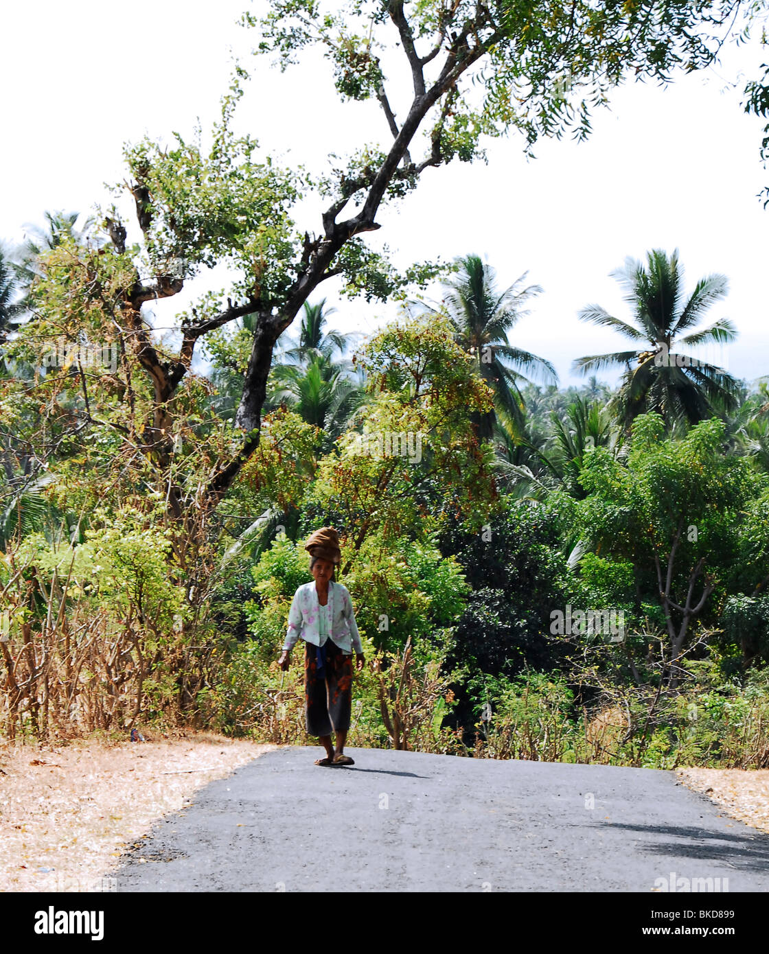 road to Pura Sabakabian,Bebetin, near lovina , northern bali ...