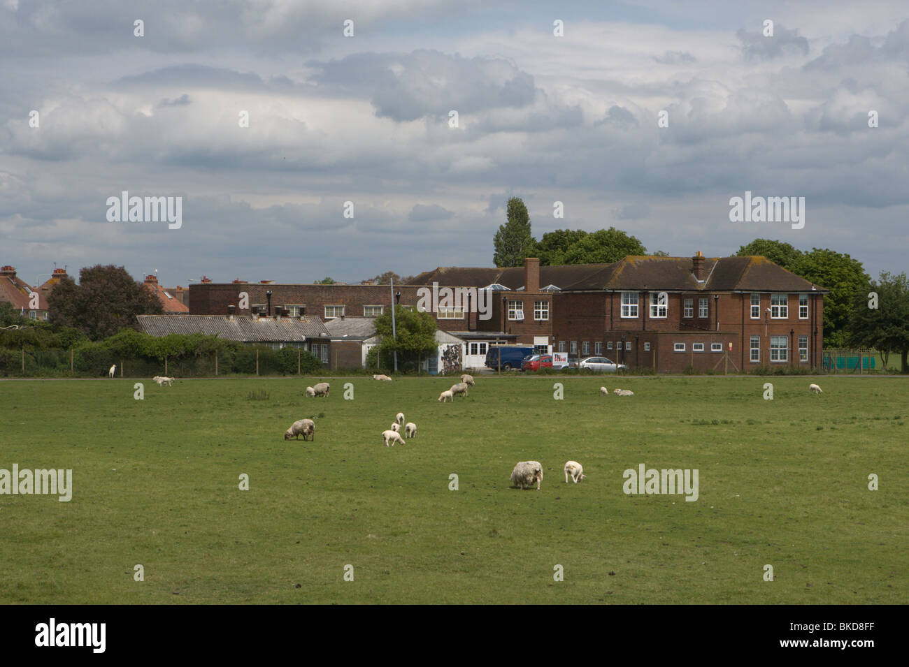 Gardham hi-res stock photography and images - Alamy