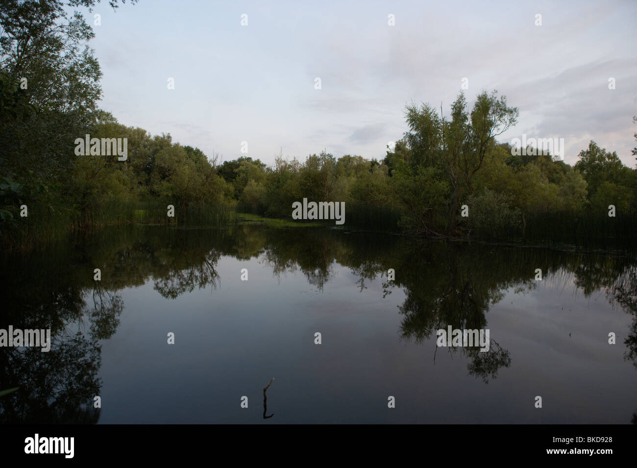 felmersham gravel pits bedfordshire Stock Photo - Alamy